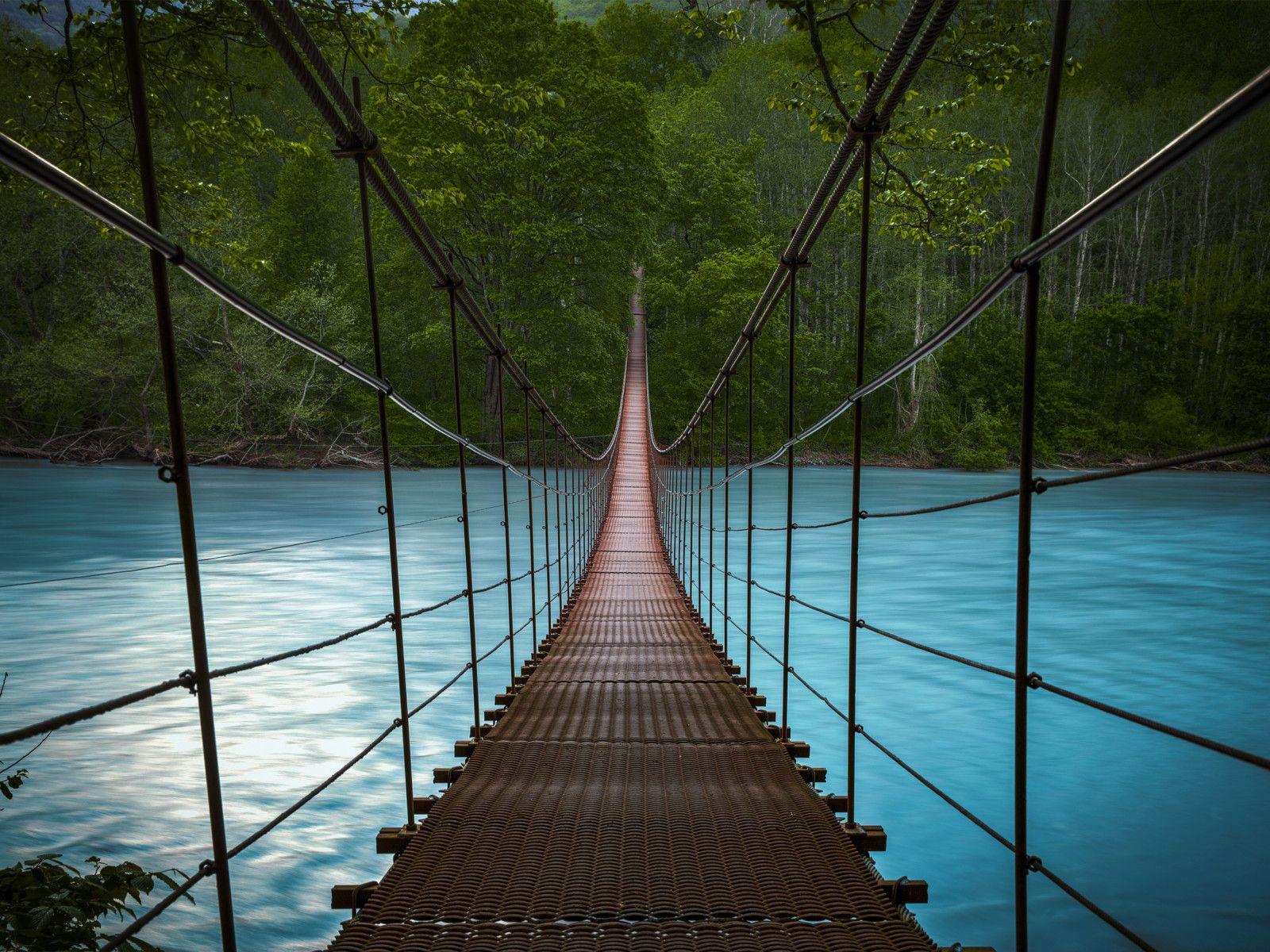 Forest Bridge Wallpapers - Top Free Forest Bridge Backgrounds - WallpaperAccess