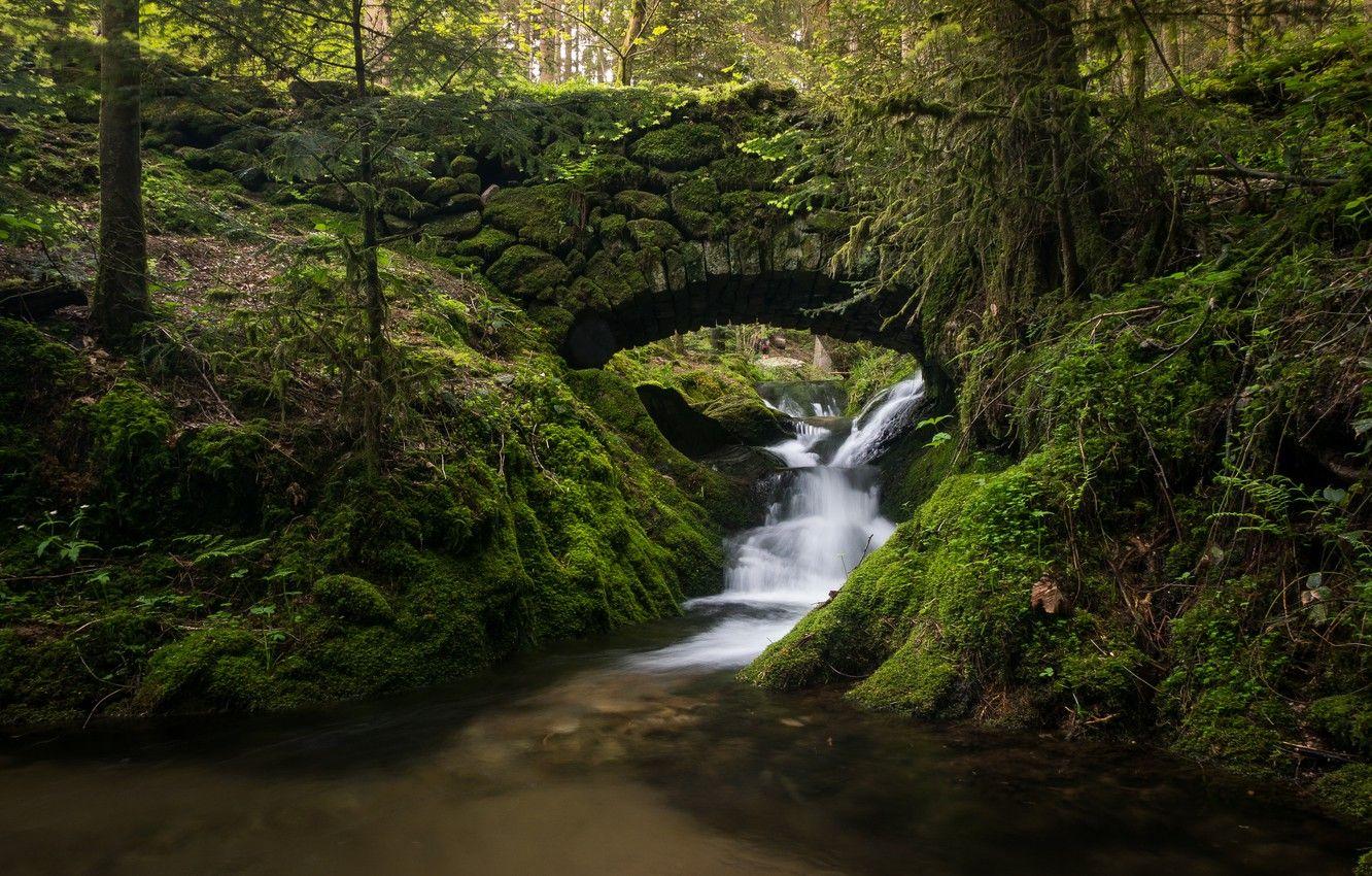 Forest Bridge Wallpapers - Top Free Forest Bridge Backgrounds - WallpaperAccess