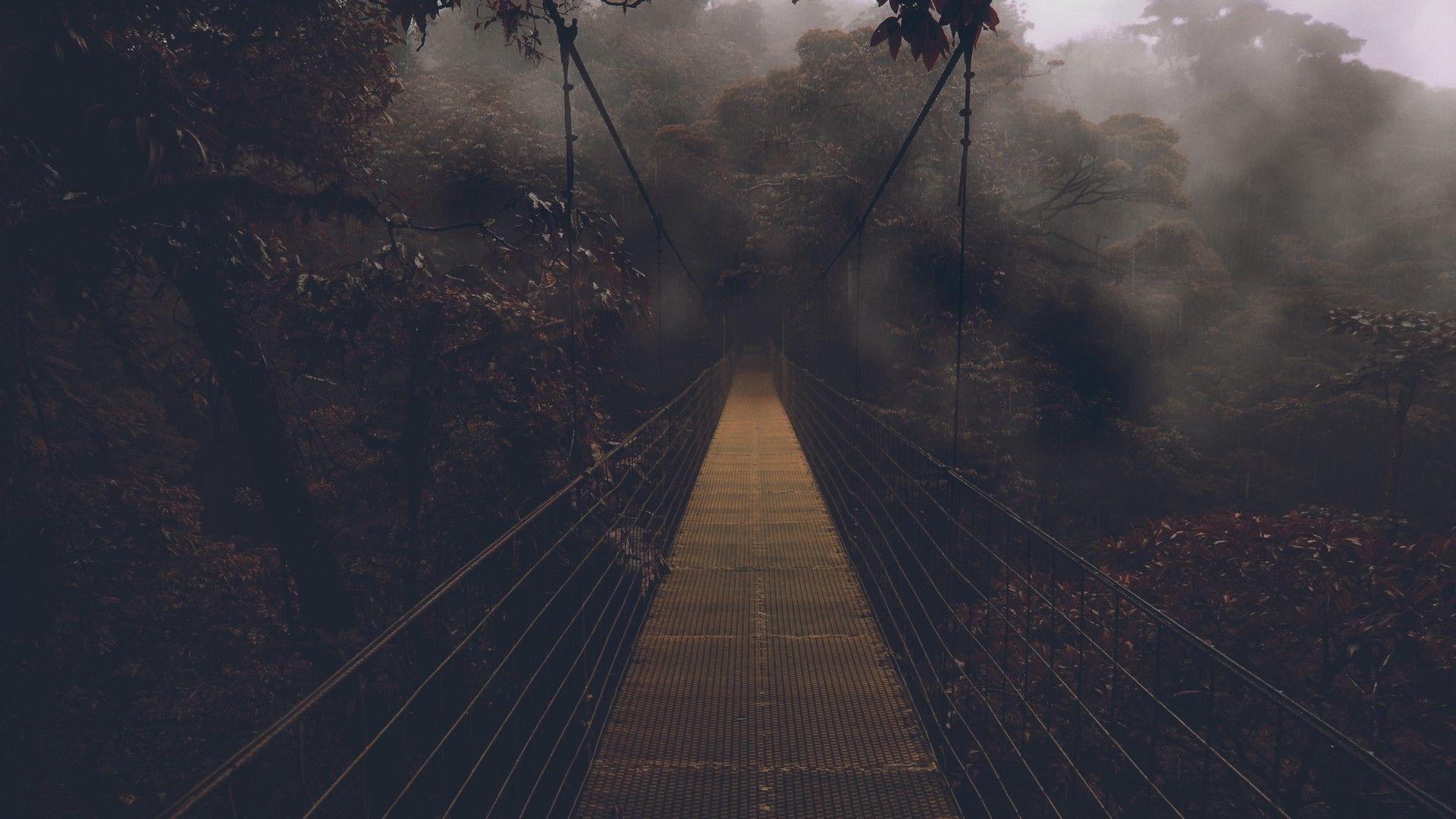 Forest Bridge Wallpapers - Top Free Forest Bridge Backgrounds ...