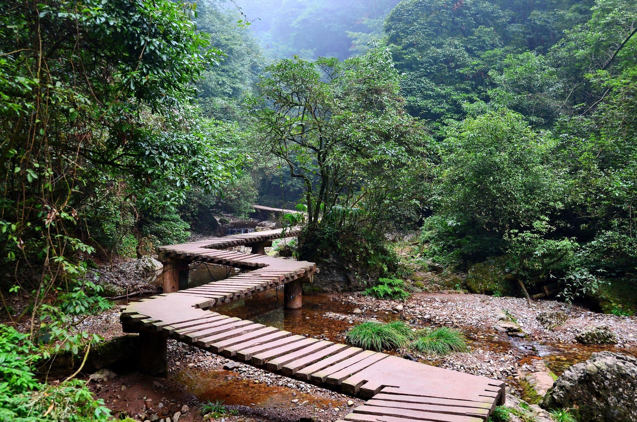 Forest Bridge Wallpapers - Top Free Forest Bridge Backgrounds ...