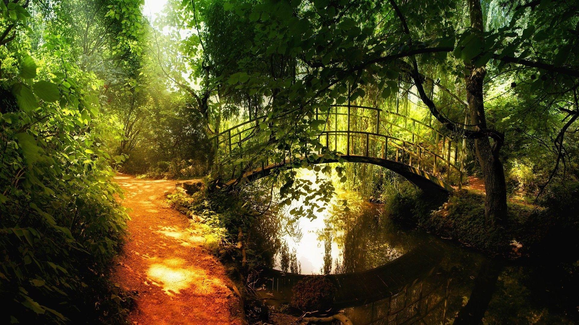 Forest Bridge Wallpapers - Top Free Forest Bridge Backgrounds ...