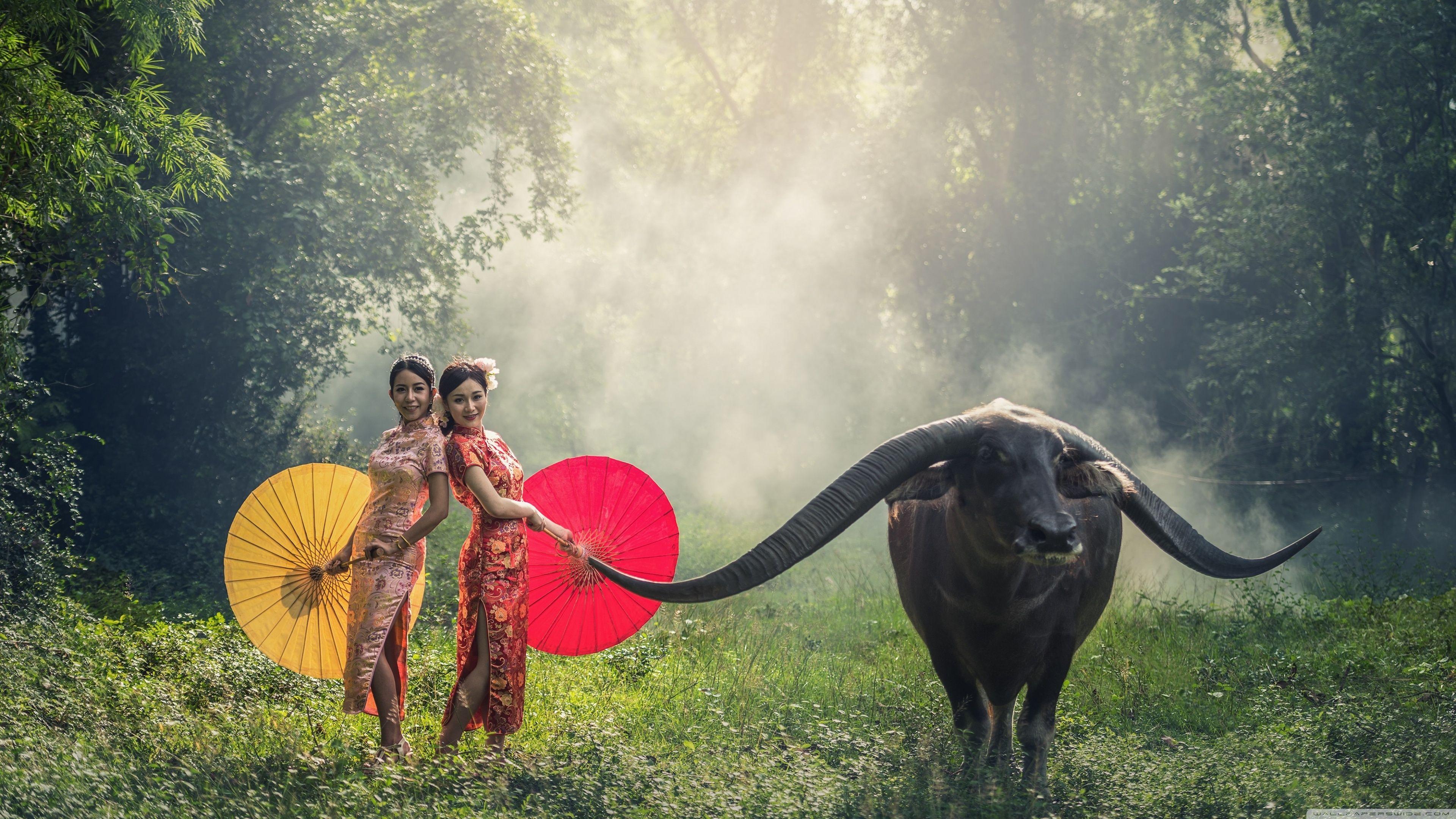 Asia Travel Wallpapers - Top Free Asia Travel Backgrounds - WallpaperAccess