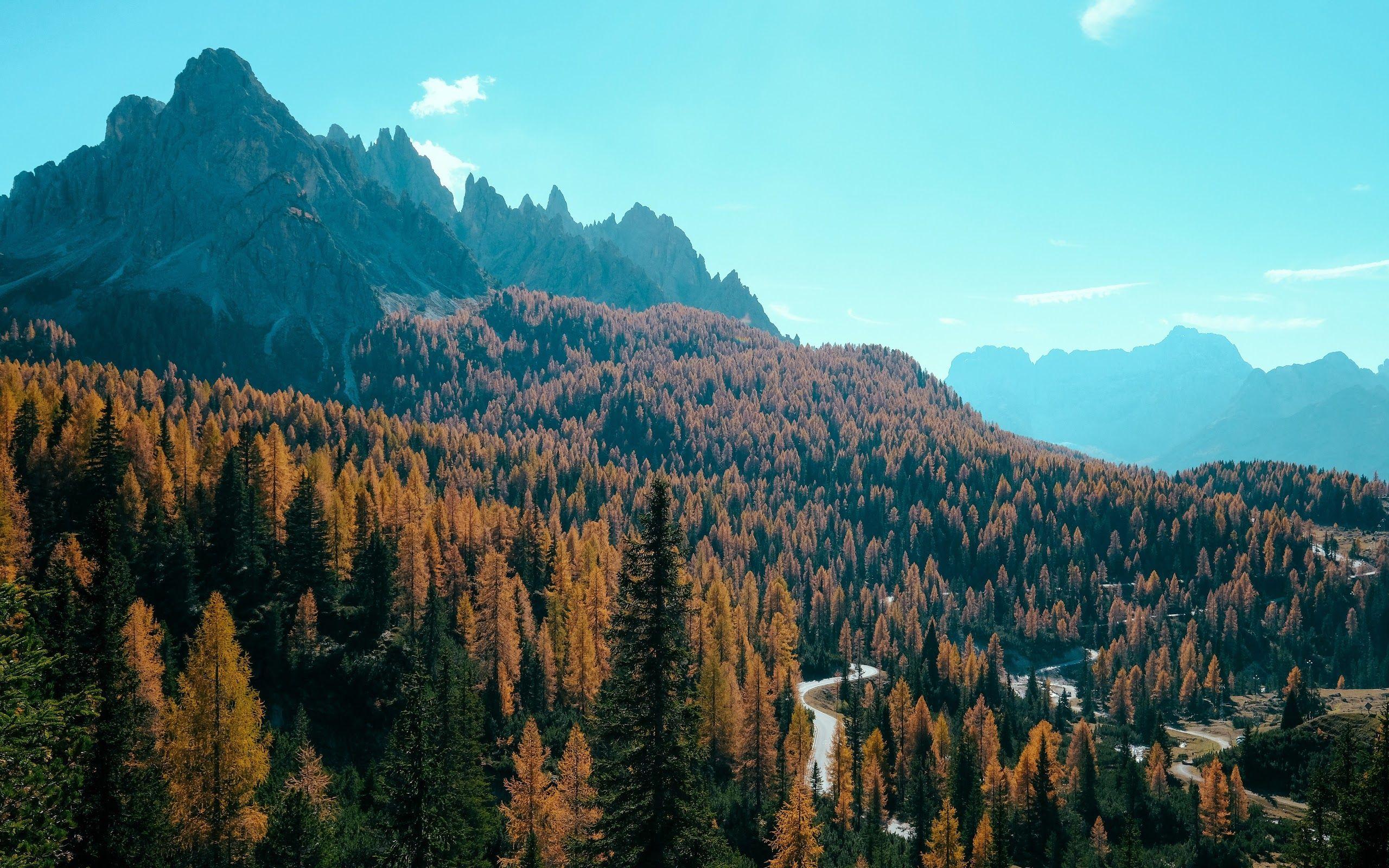 8K Widescreen Wallpapers - Top Free 8K Widescreen Backgrounds ...