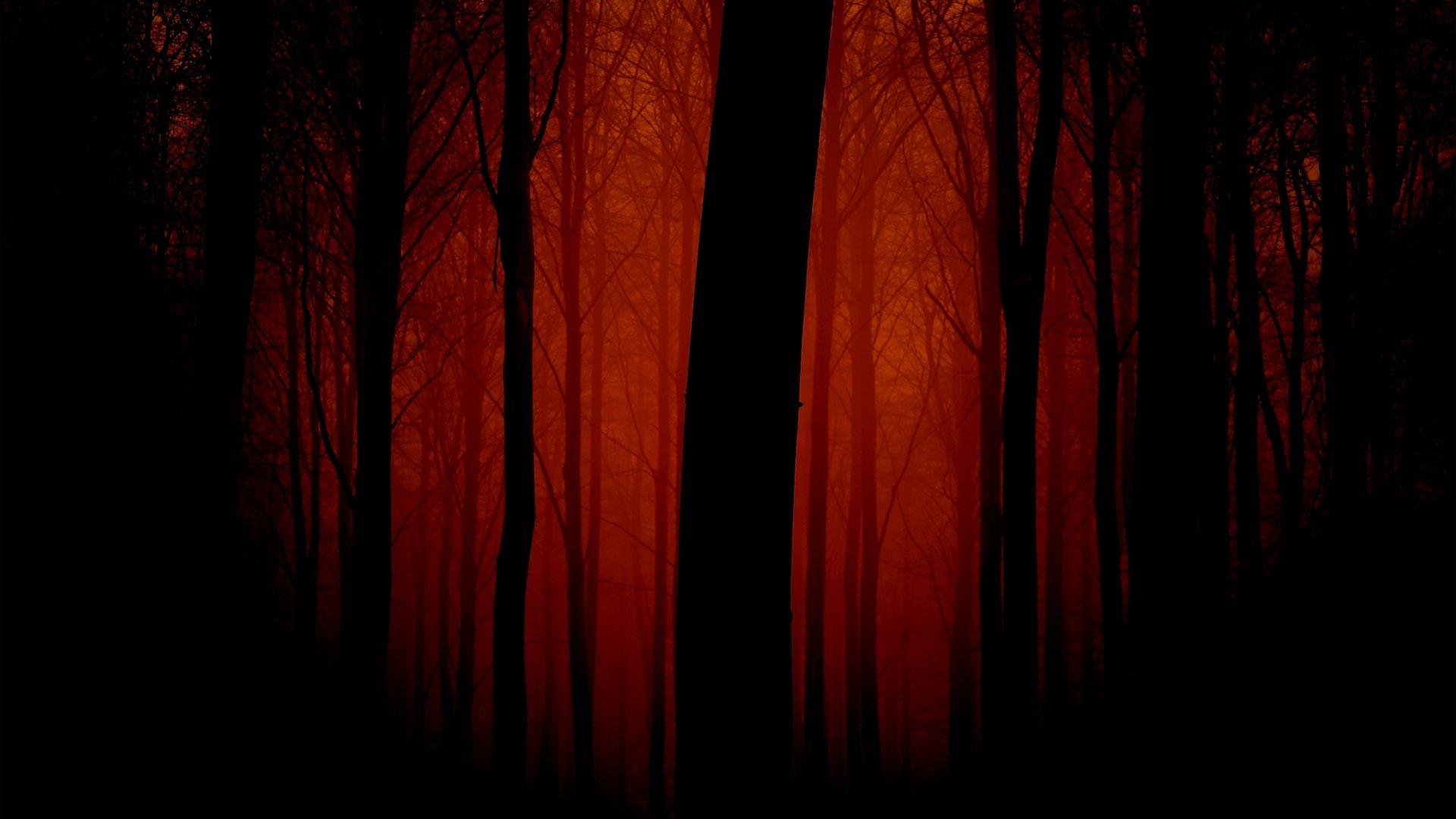 Red Forest HD Wallpapers - Top Free Red Forest HD Backgrounds ...