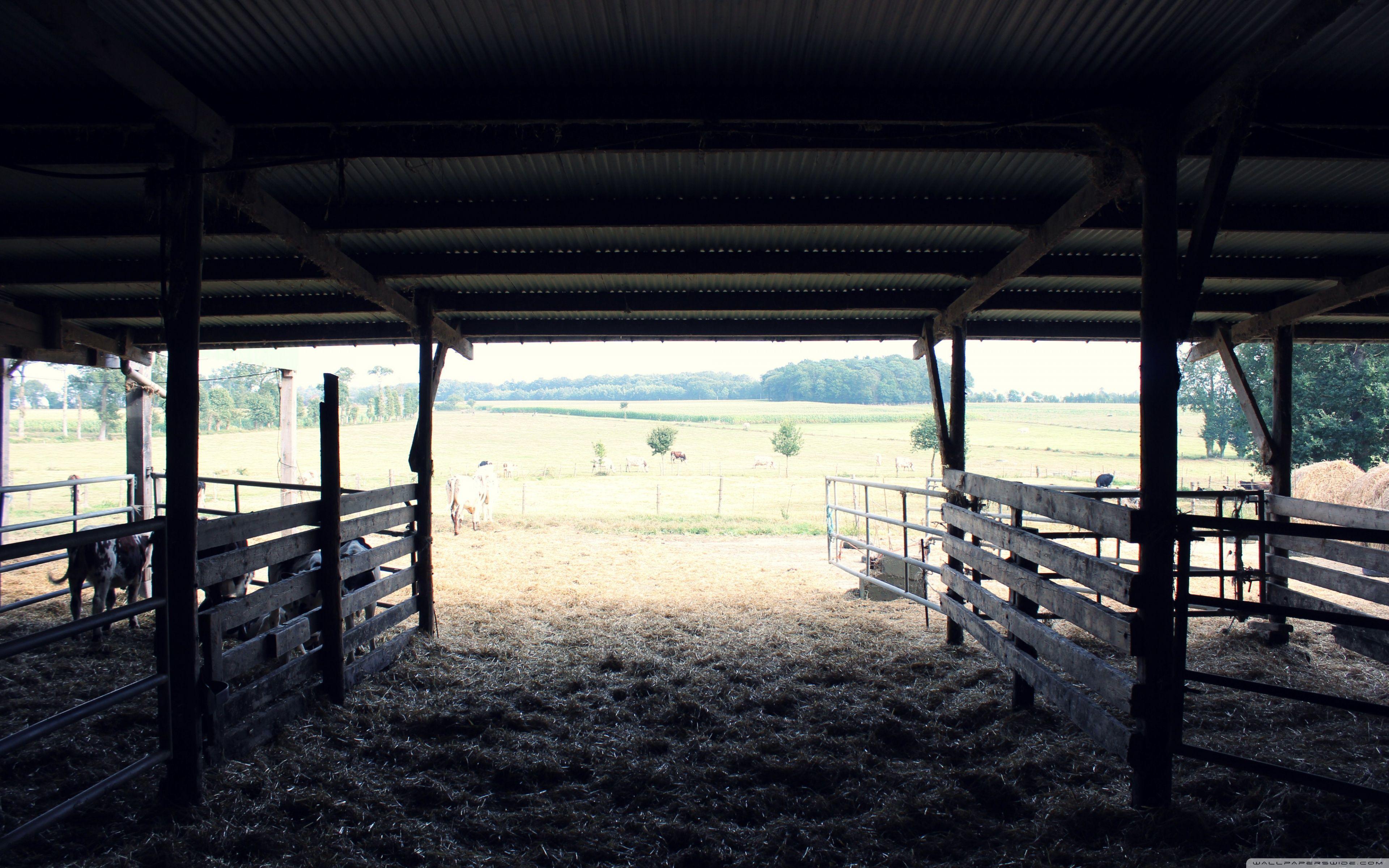 Ranch Wallpapers - Top Free Ranch Backgrounds - WallpaperAccess