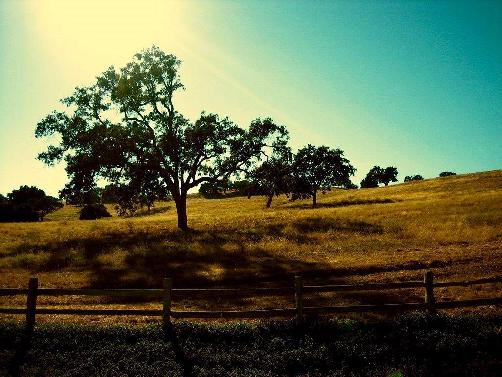 Ranch Wallpapers - Top Free Ranch Backgrounds - WallpaperAccess