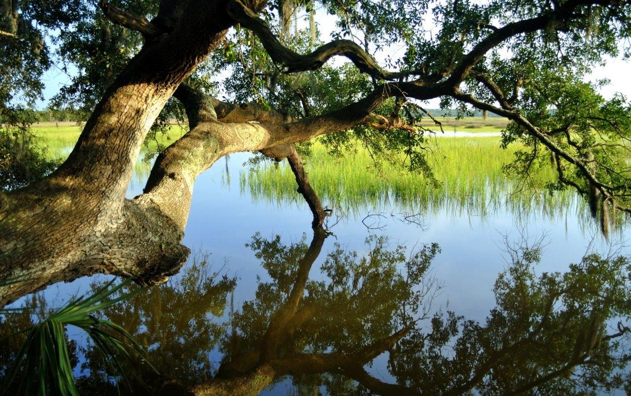 Summer Lake Wallpapers - Top Free Summer Lake Backgrounds - WallpaperAccess
