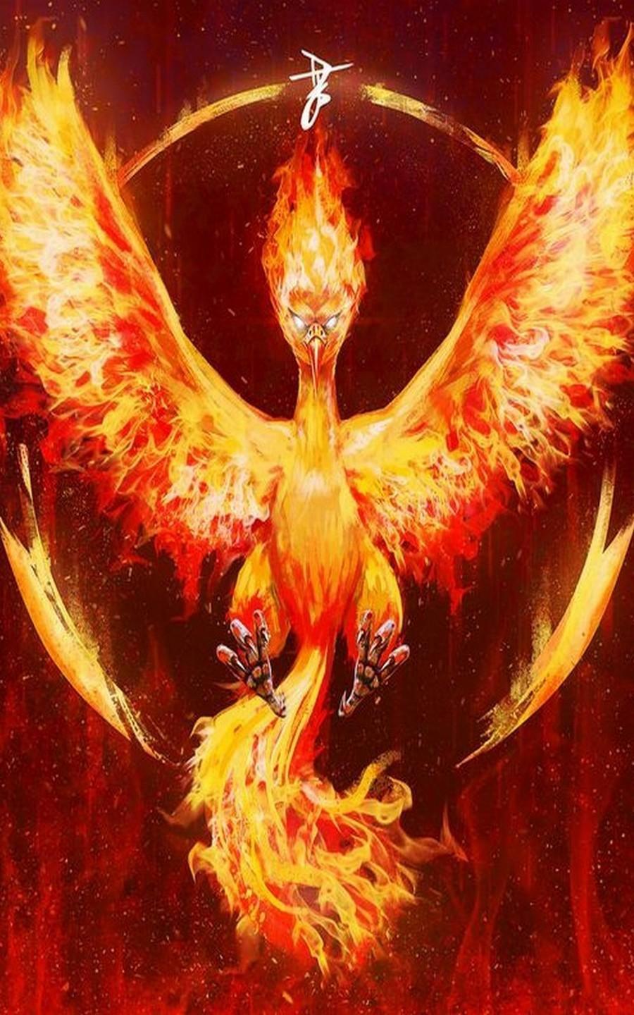 Moltres Wallpapers - Top Free Moltres Backgrounds - WallpaperAccess