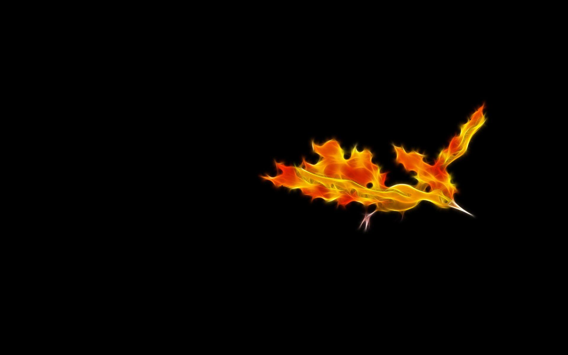Moltres Wallpapers - Top Free Moltres Backgrounds - WallpaperAccess