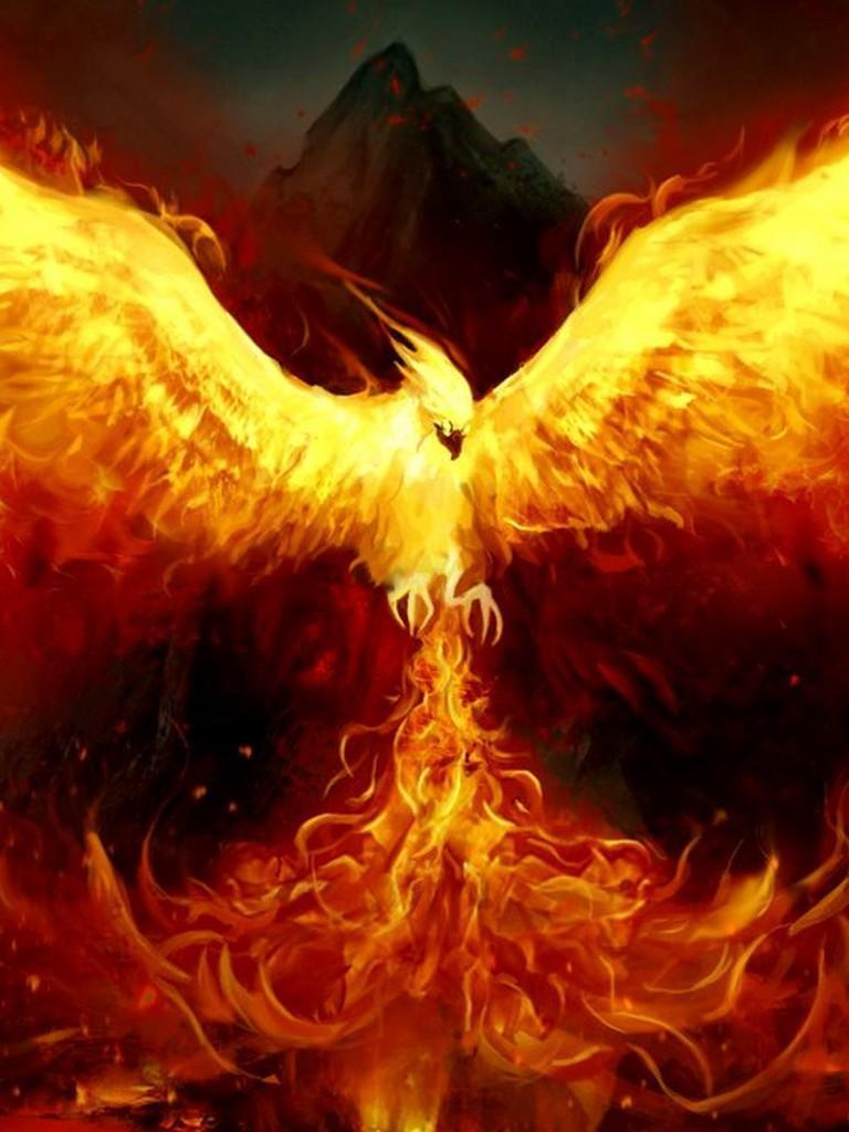 Moltres Wallpapers - Top Free Moltres Backgrounds - WallpaperAccess