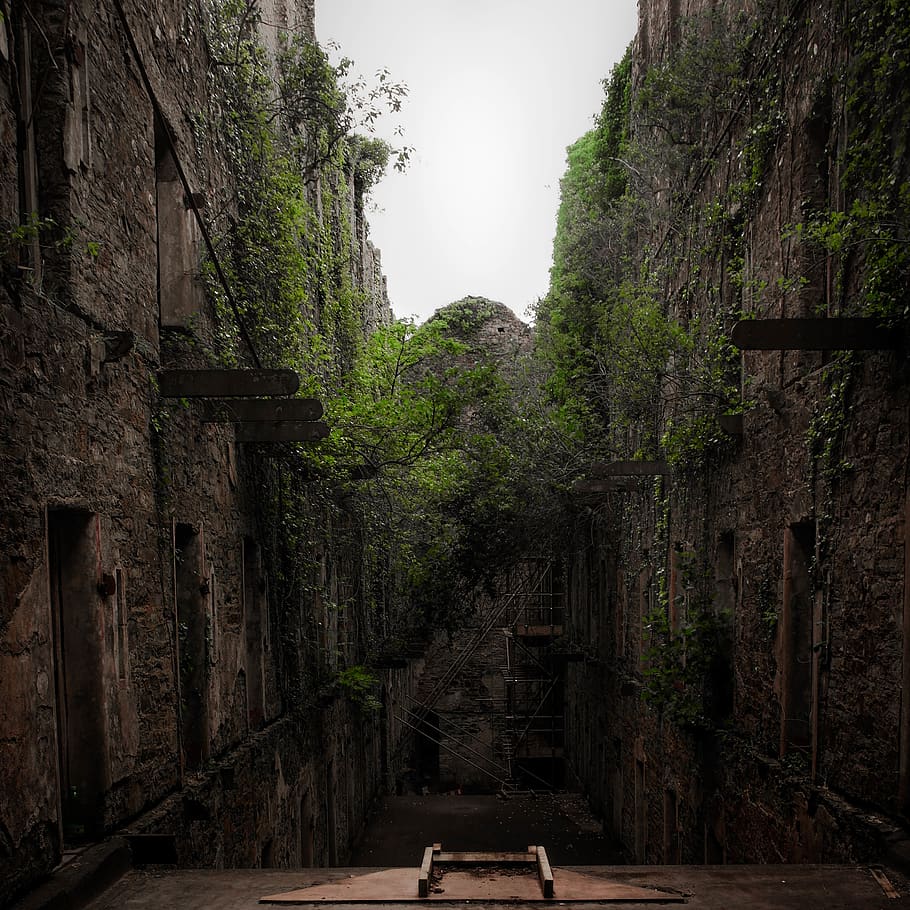 Scary Castle Wallpapers - Top Free Scary Castle Backgrounds ...