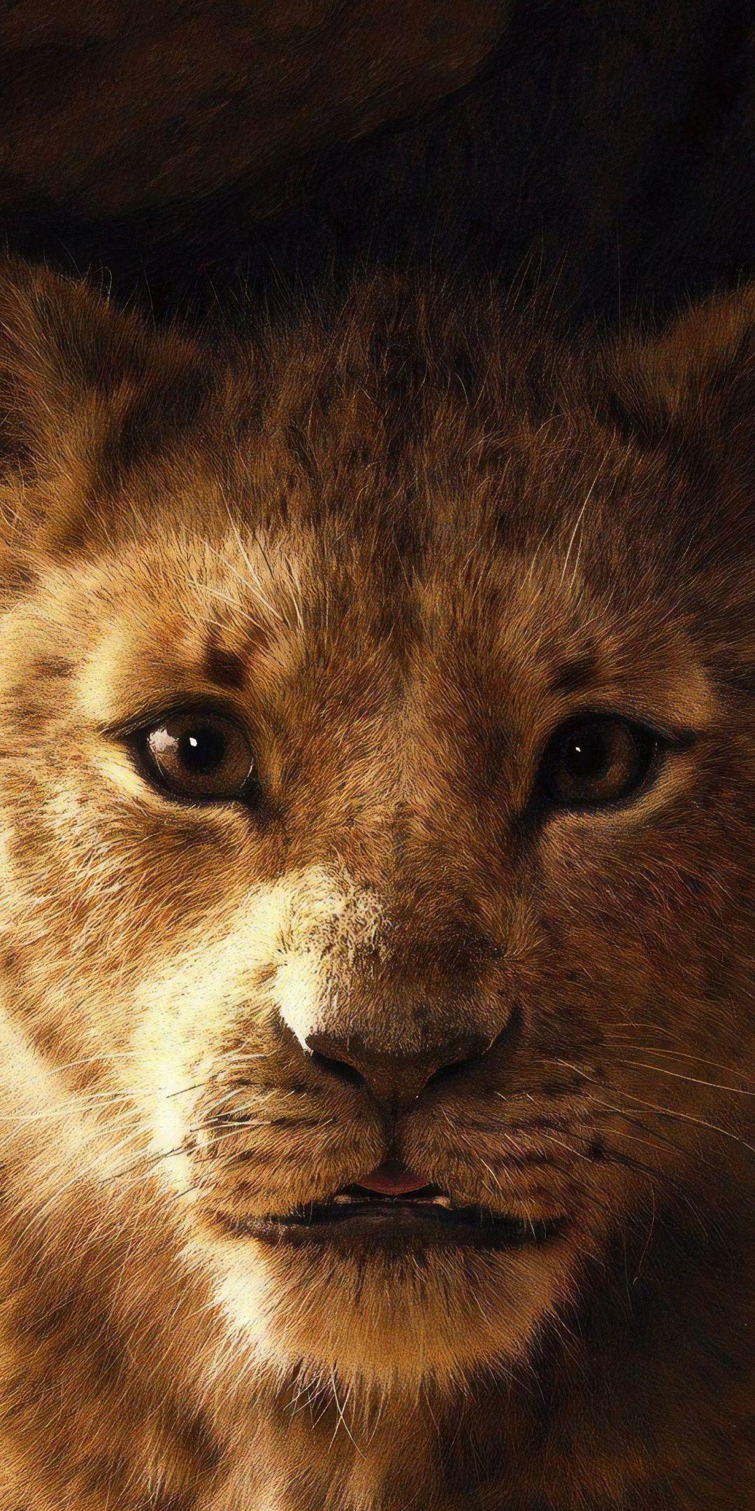 Simba Disney Wallpapers - Top Free Simba Disney Backgrounds ...
