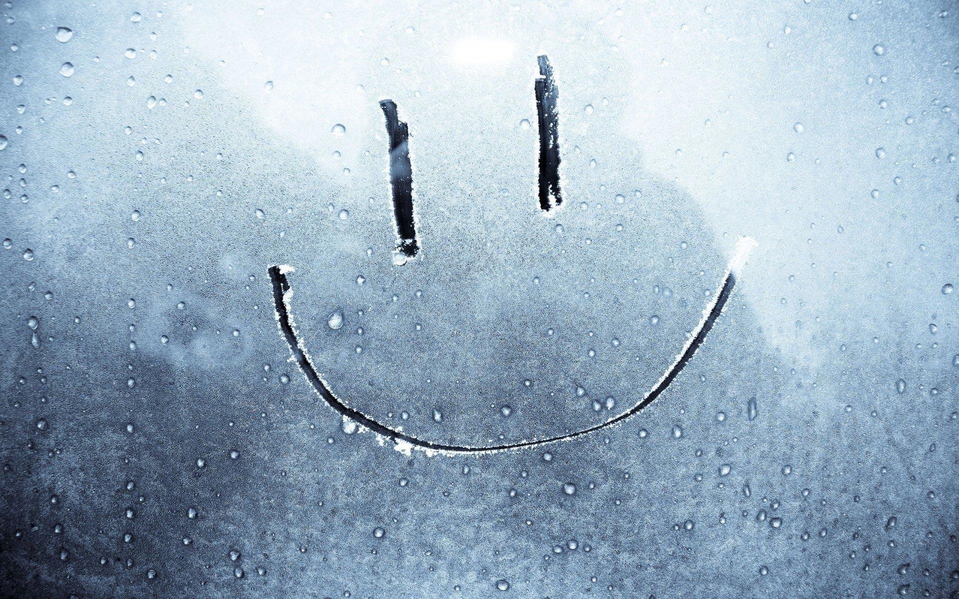 Funny Winter Wallpapers - Top Free Funny Winter Backgrounds ...
