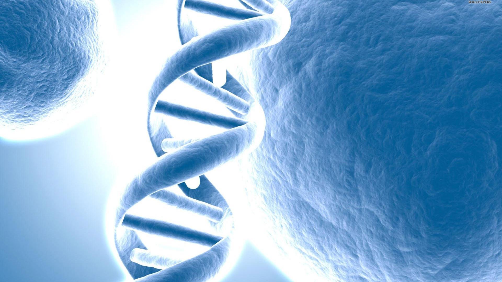 Genetics Wallpapers - Top Free Genetics Backgrounds - WallpaperAccess