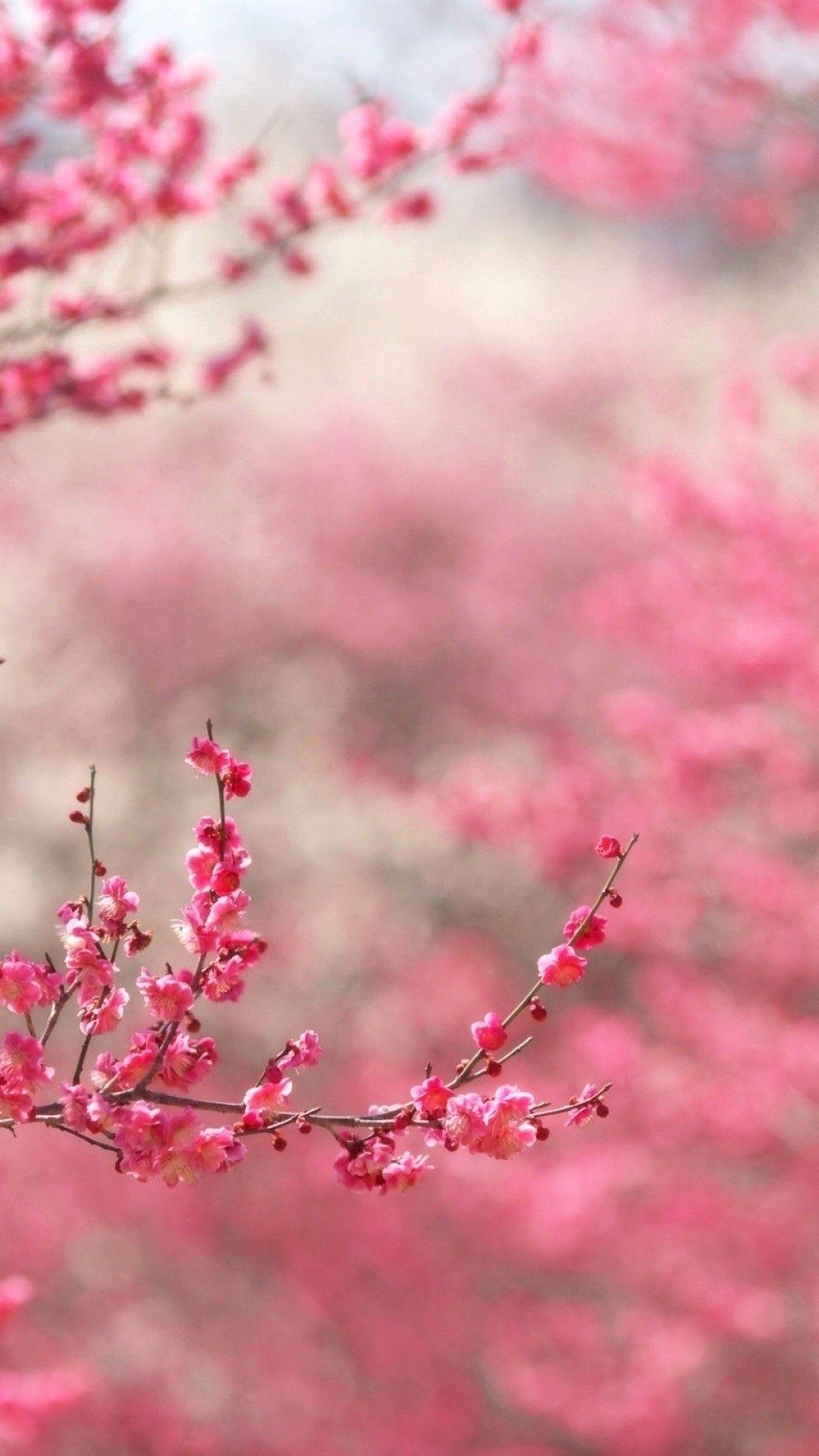 Beautiful Unique HD Wallpapers - Top Free Beautiful Unique HD ...