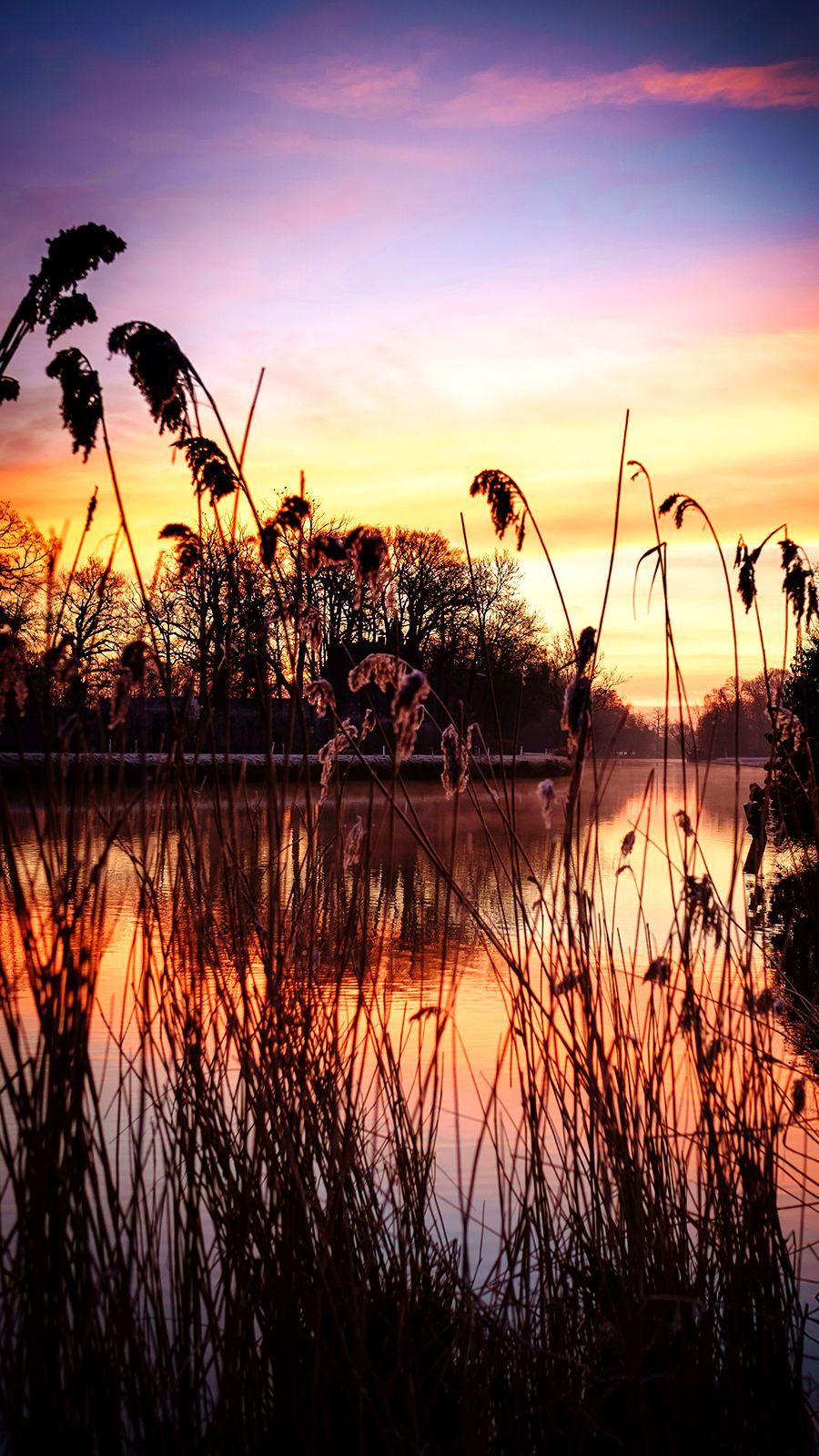 900x1600 Wallpapers - Top Free 900x1600 Backgrounds - WallpaperAccess