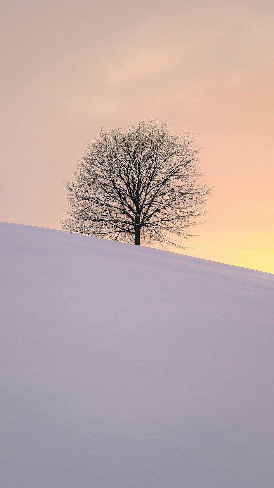 Minimalist Winter Wallpapers - Top Free Minimalist Winter Backgrounds ...