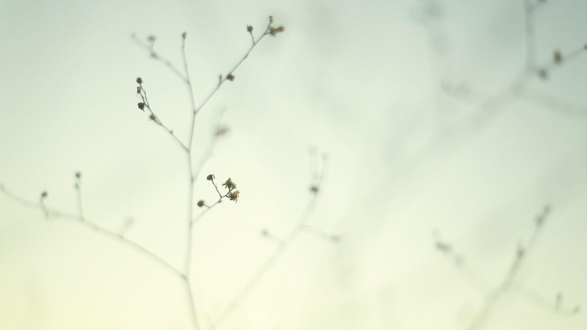 Minimalist Spring Desktop Wallpapers - Top Free Minimalist Spring ...