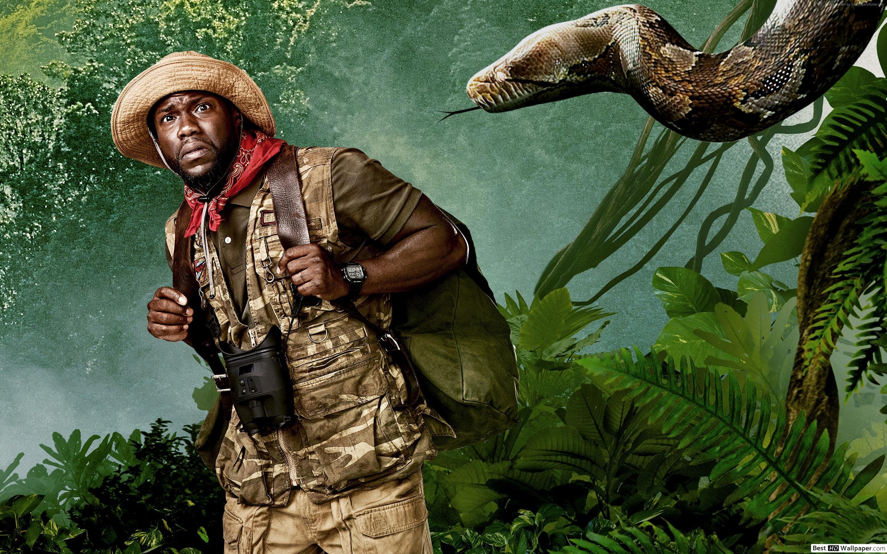 Kevin Hart Wallpapers - Top Free Kevin Hart Backgrounds - WallpaperAccess