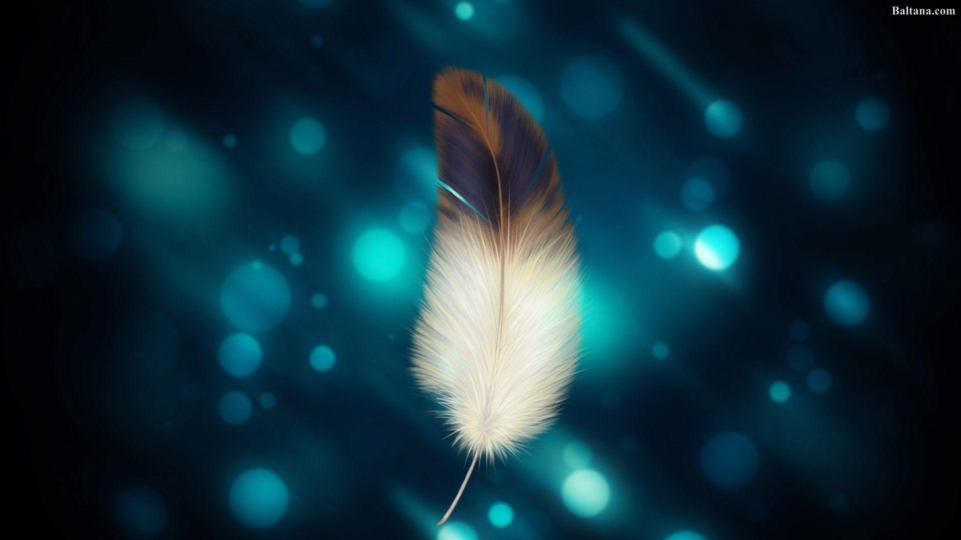 Light As A Feather Wallpapers - Top Free Light As A Feather Backgrounds ...