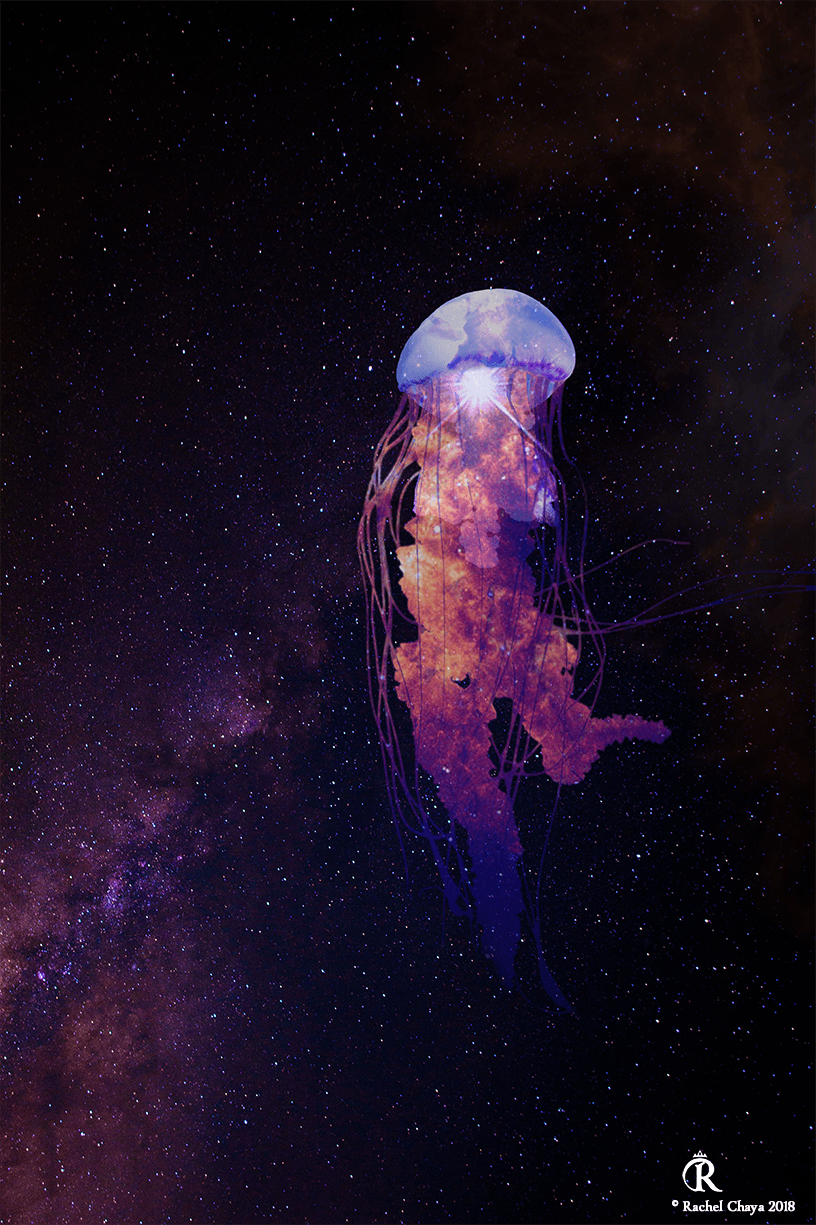 The Adventure Zone Wallpapers - Top Free The Adventure Zone Backgrounds ...