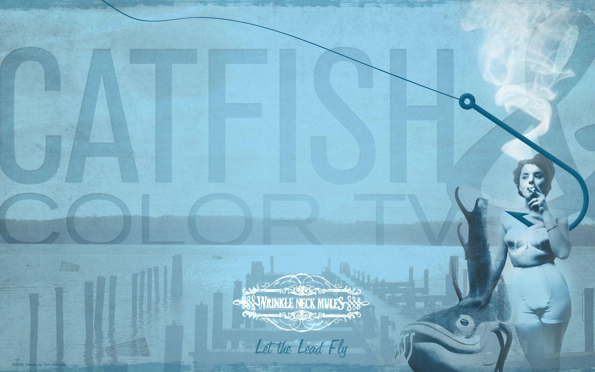 Catfish Wallpapers - Top Free Catfish Backgrounds - WallpaperAccess