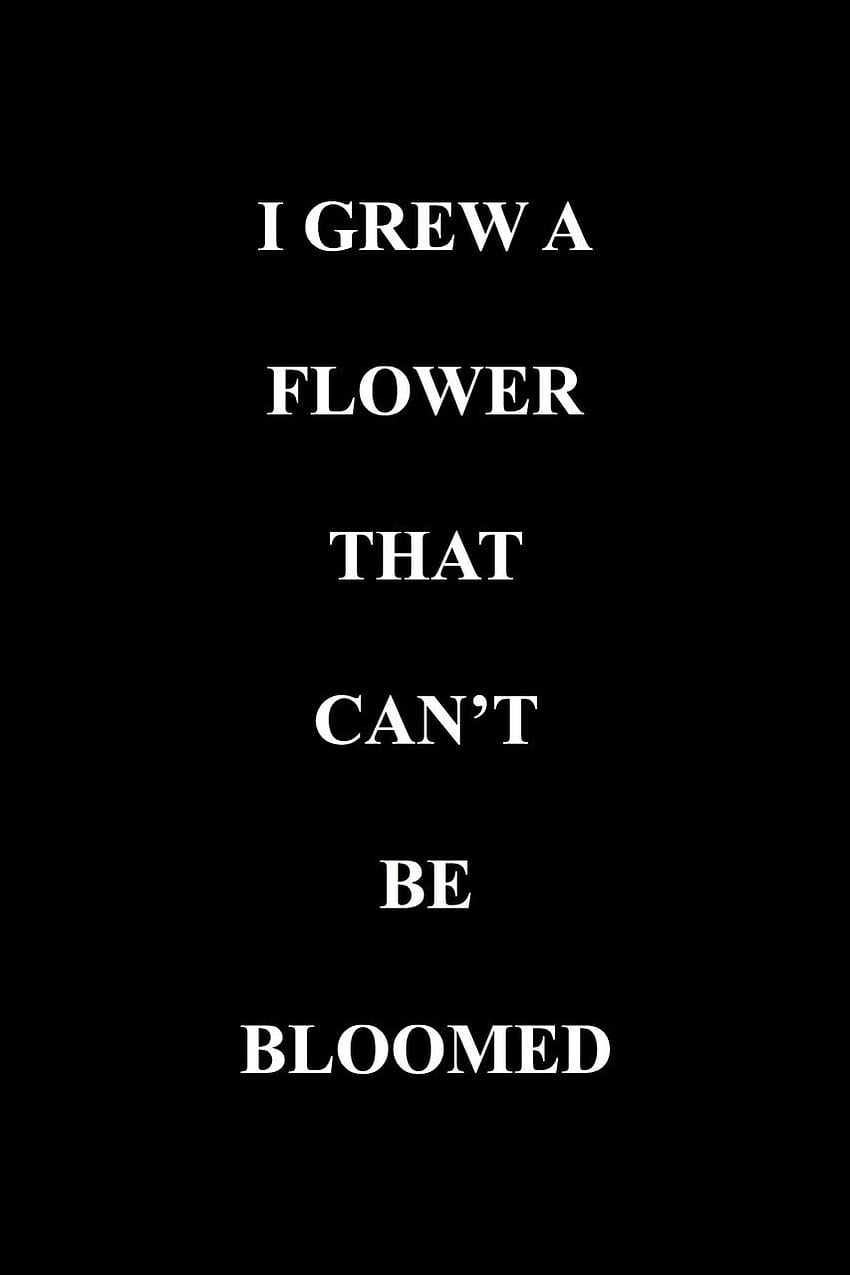 Drake Lyrics Wallpapers - Top Free Drake Lyrics Backgrounds ...
