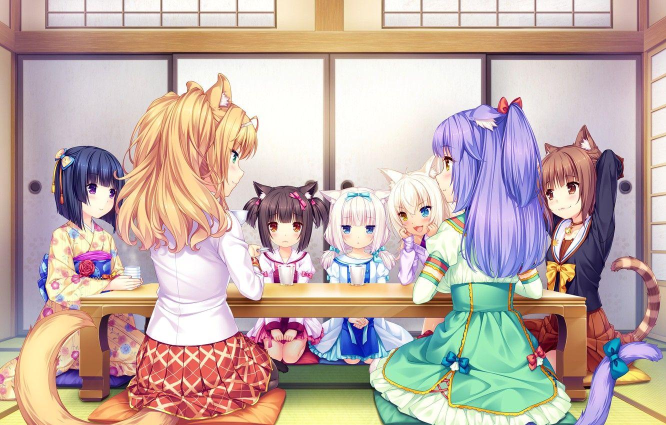 Nekopara Wallpapers - Top Free Nekopara Backgrounds - WallpaperAccess