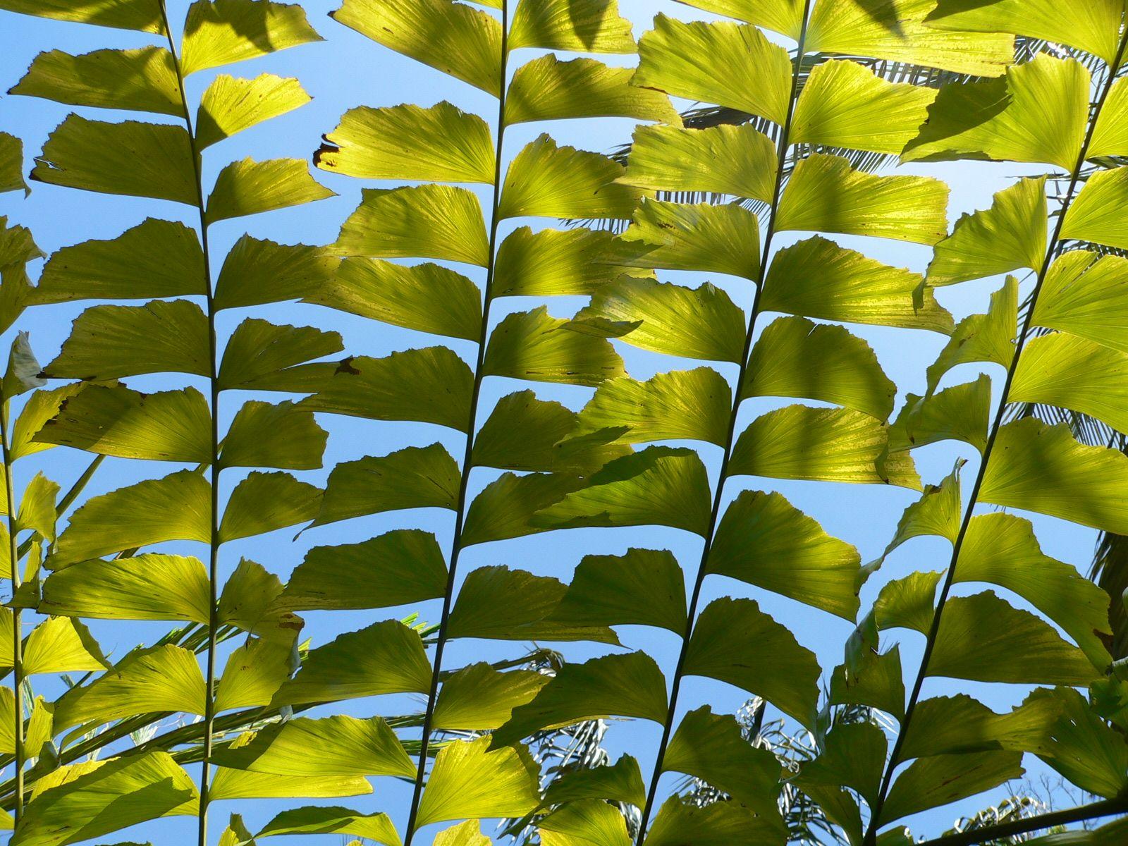 54 Free Simple Wallpapers For Lovers Of Simplicity