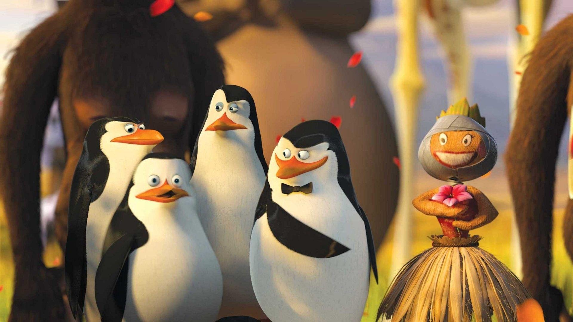 Penguins Of Madagascar Wallpapers Top Free Penguins Of Madagascar Backgrounds Wallpaperaccess
