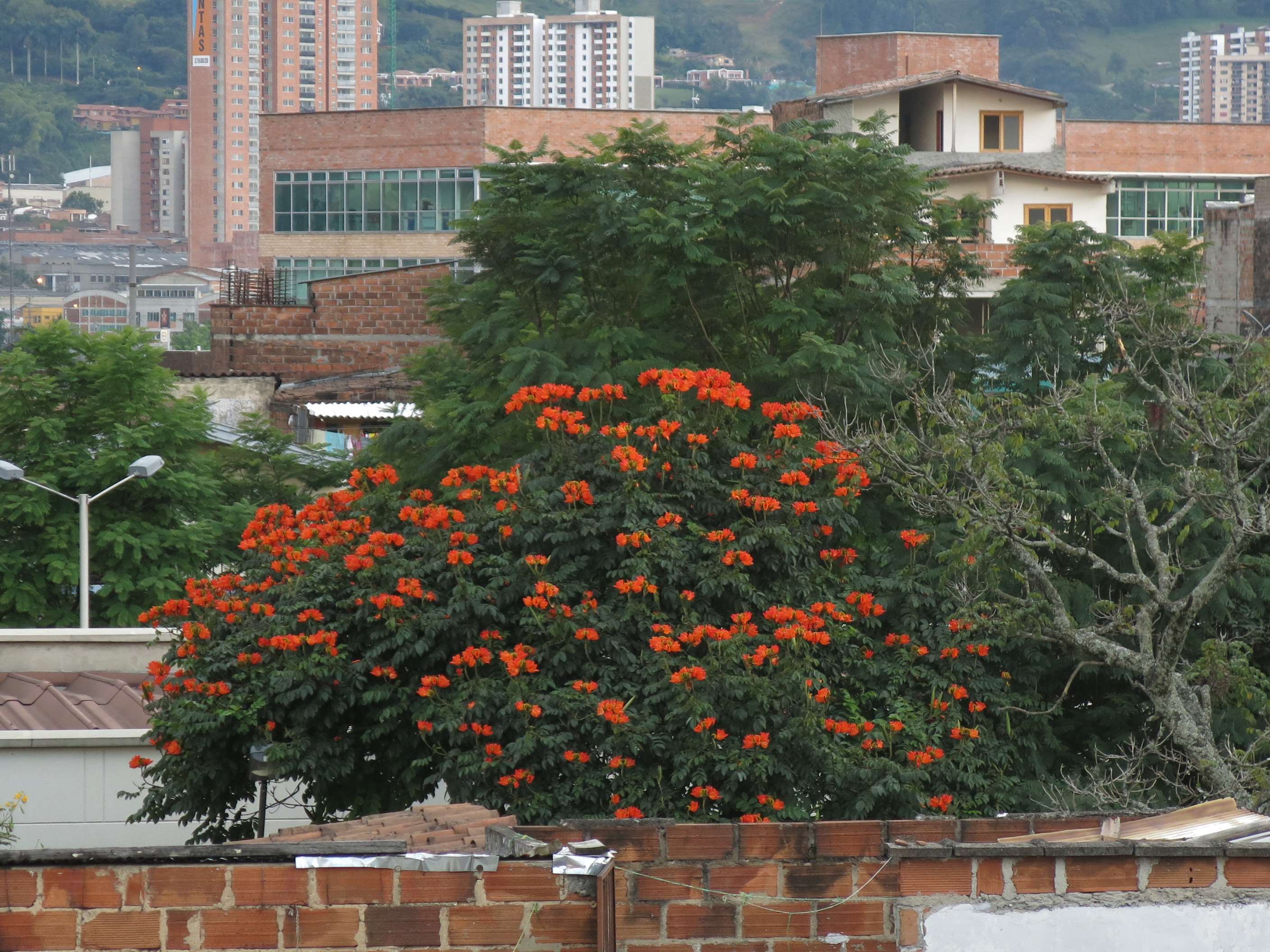 Medellin Wallpapers - Top Free Medellin Backgrounds - WallpaperAccess