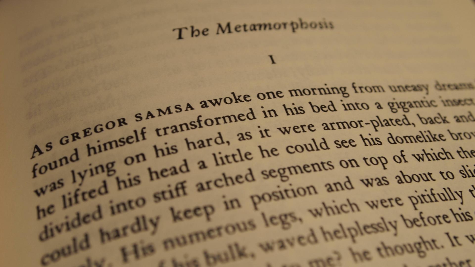 Kafka Wallpapers - Top Free Kafka Backgrounds - WallpaperAccess