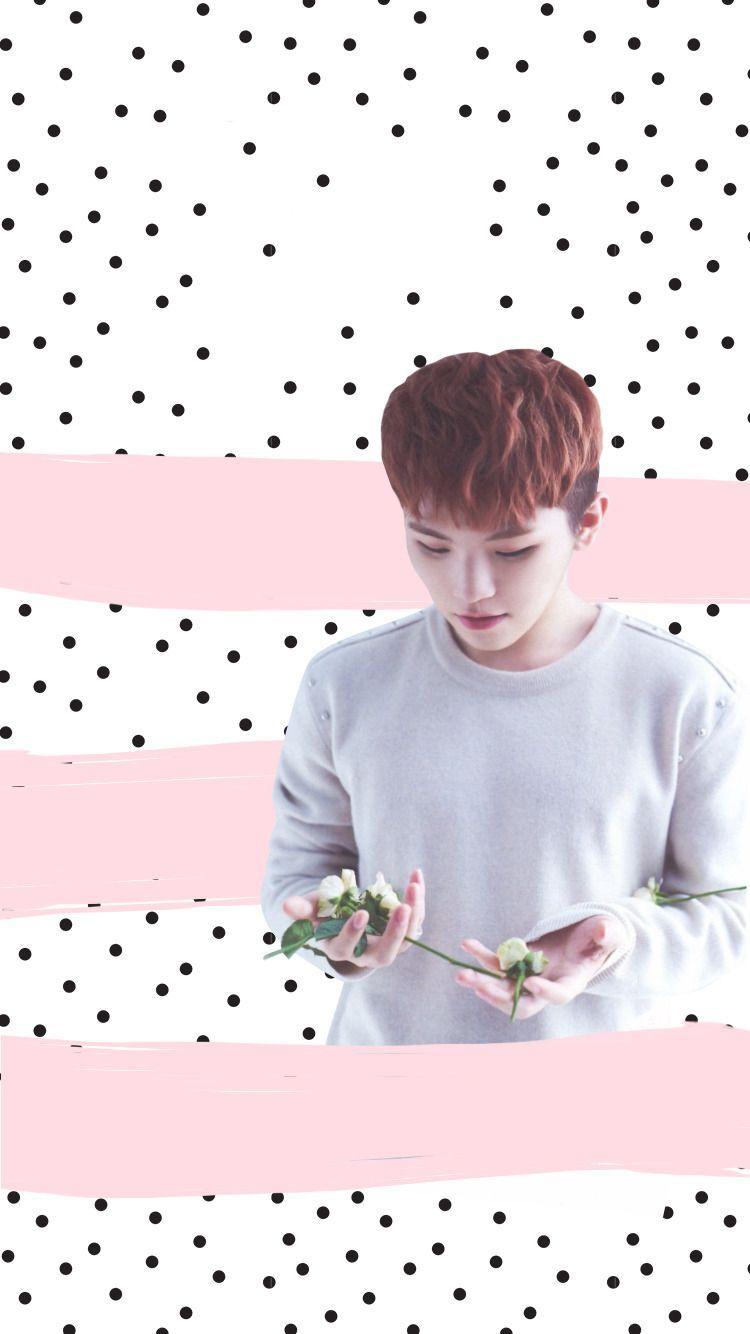 Woozi Wallpapers - Top Free Woozi Backgrounds - WallpaperAccess