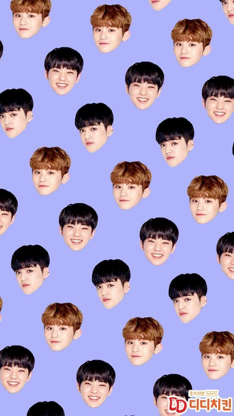 Woozi Wallpapers - Top Free Woozi Backgrounds - WallpaperAccess