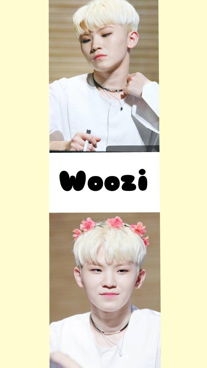 Woozi Wallpapers - Top Free Woozi Backgrounds - WallpaperAccess