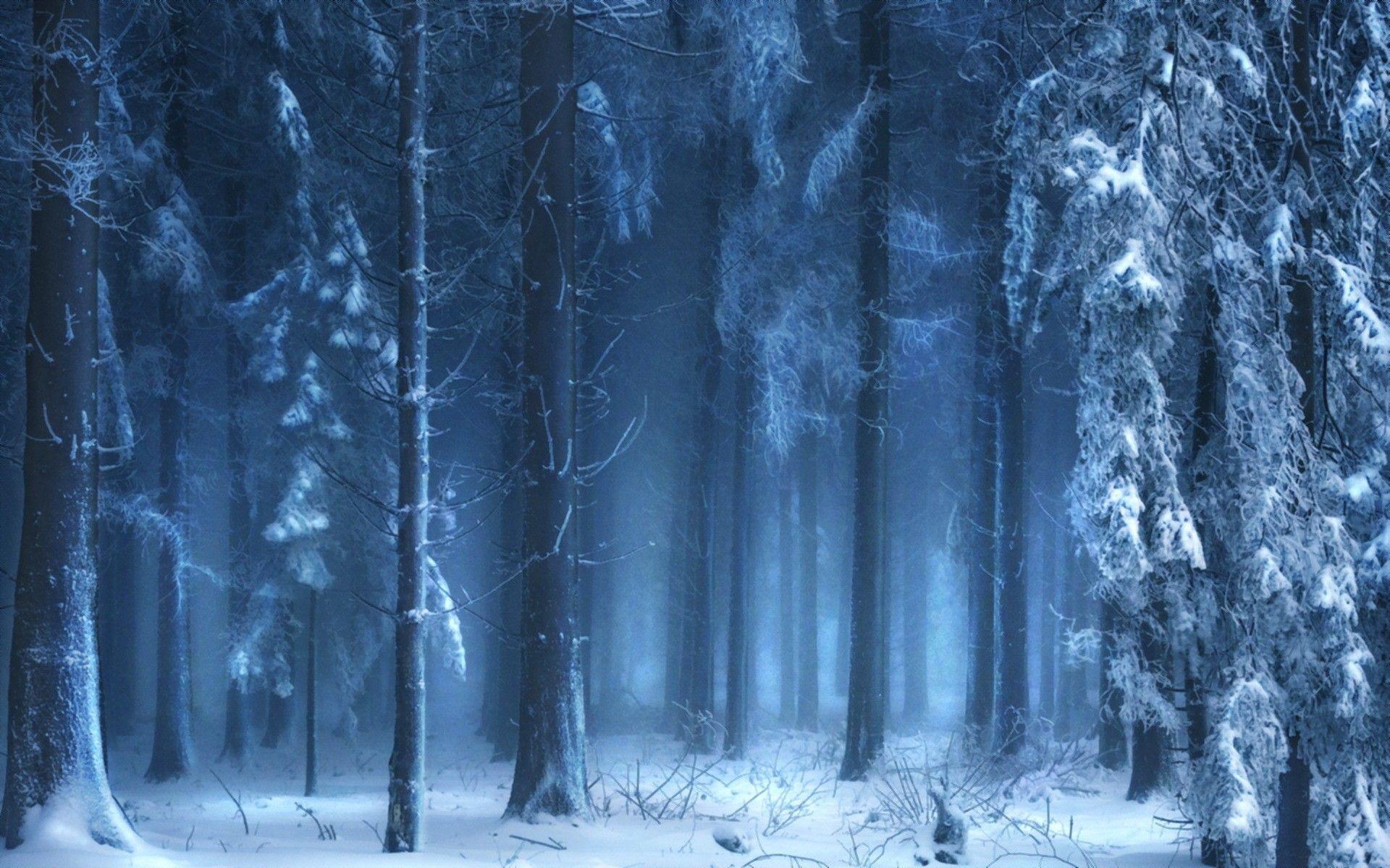 Blue Snow Wallpapers - Top Free Blue Snow Backgrounds - WallpaperAccess