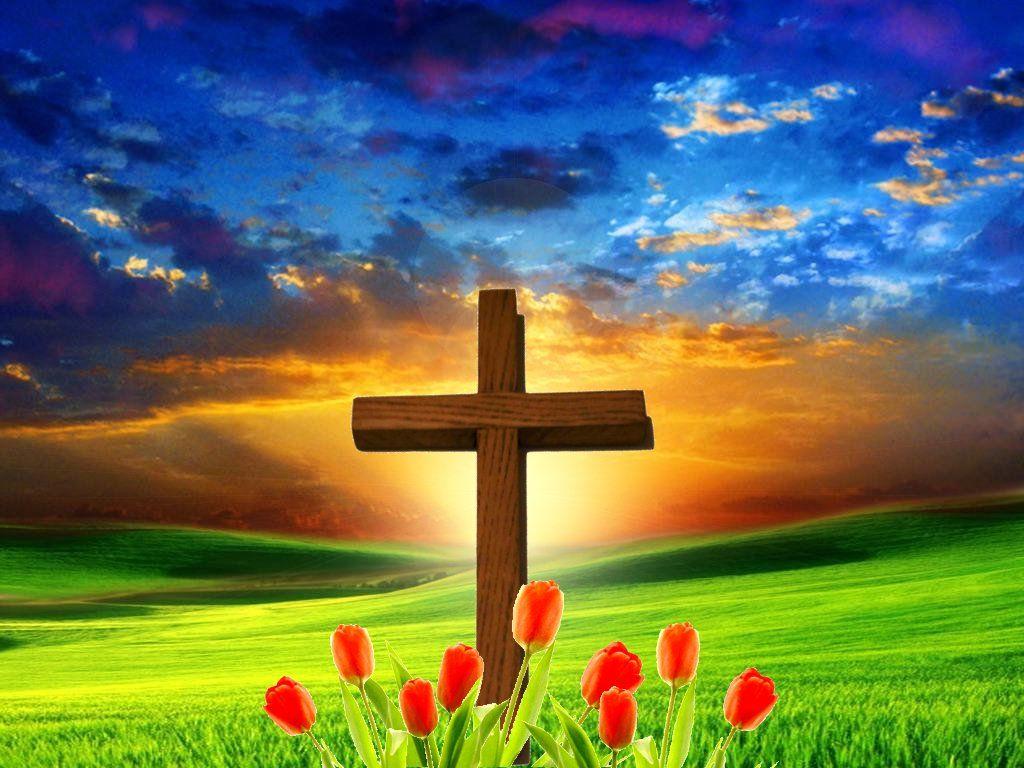 Holy Cross Wallpapers - Top Free Holy Cross Backgrounds - WallpaperAccess