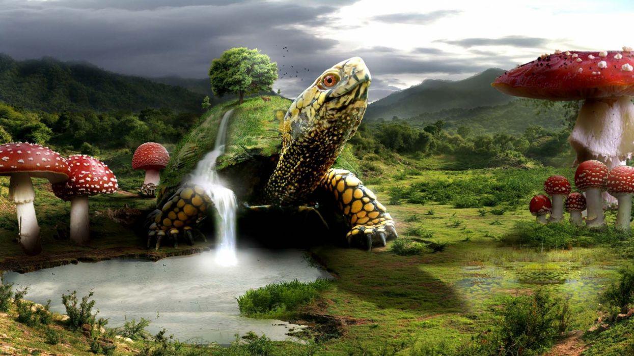Tortoise Wallpapers - Top Free Tortoise Backgrounds - WallpaperAccess