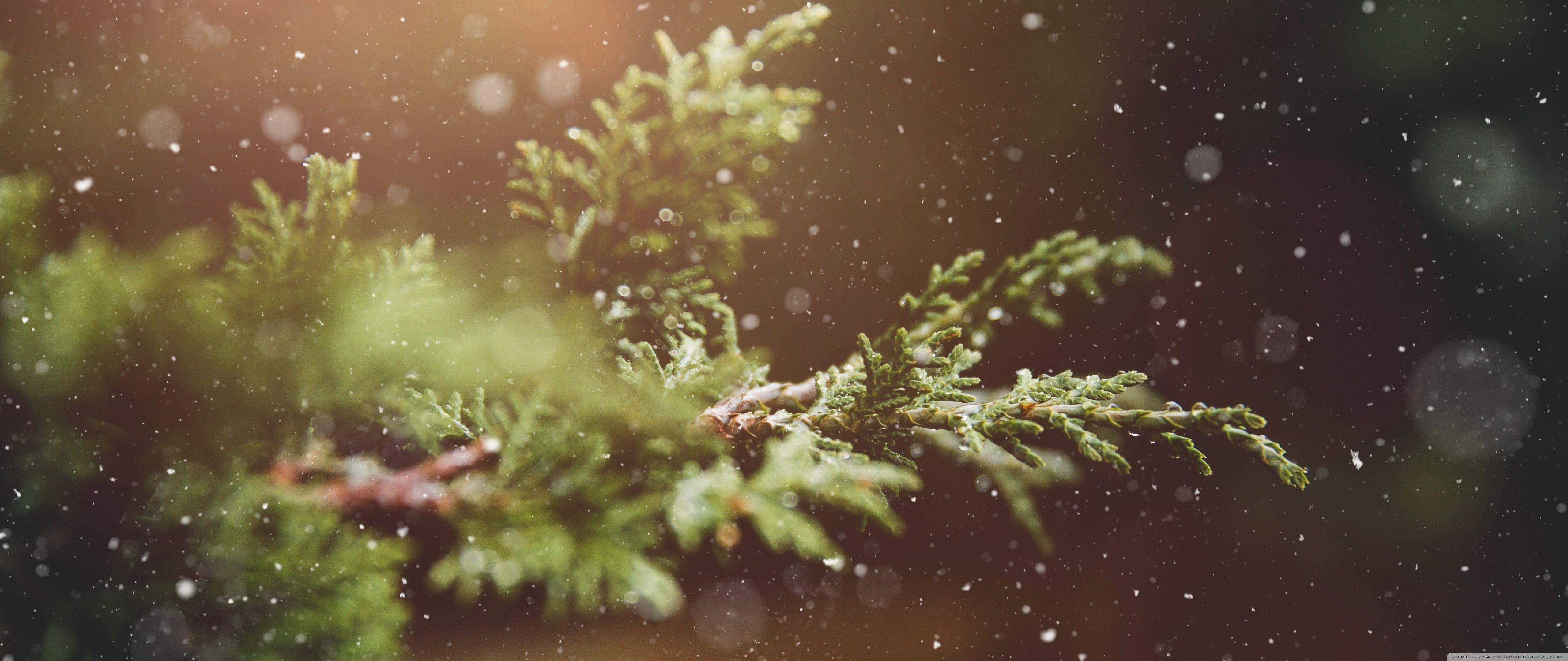 Let It Snow Wallpapers - Top Free Let It Snow Backgrounds - WallpaperAccess