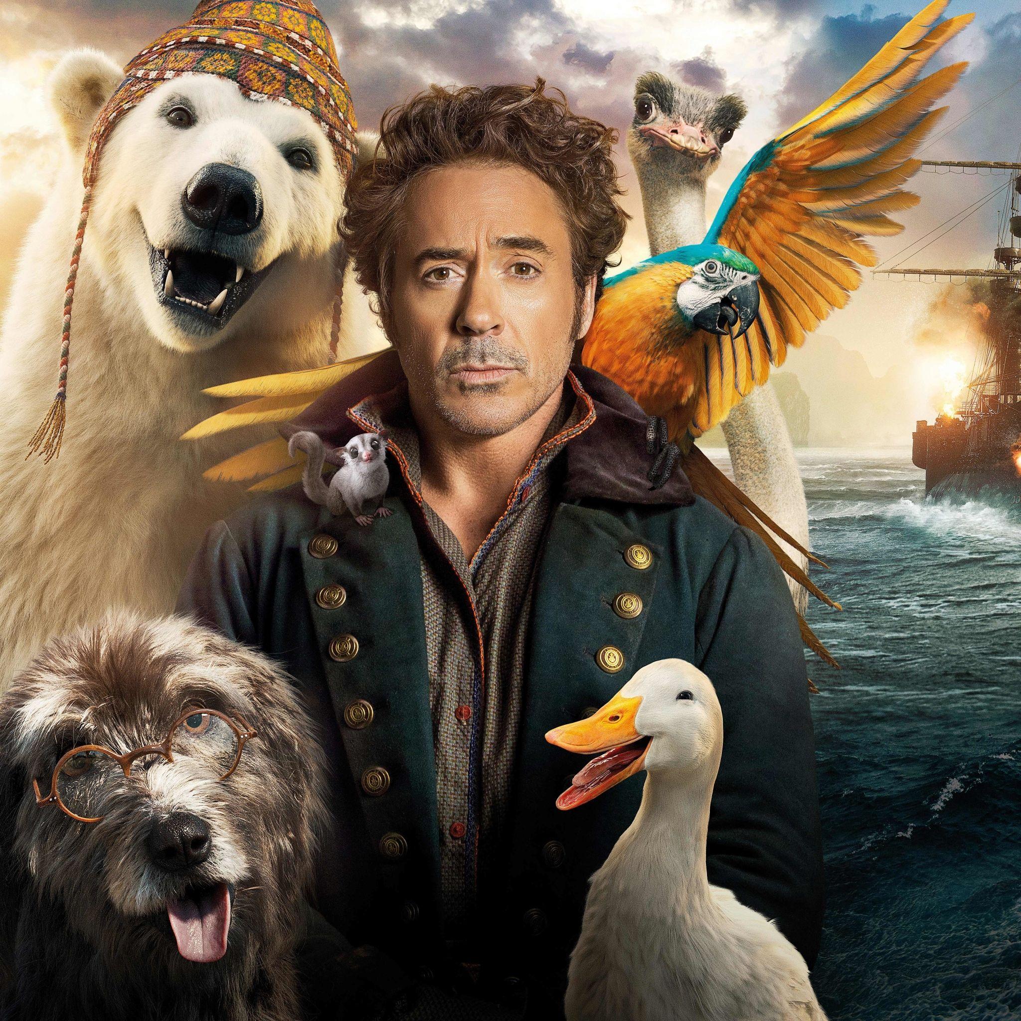 Dolittle Wallpapers - Top Free Dolittle Backgrounds - WallpaperAccess