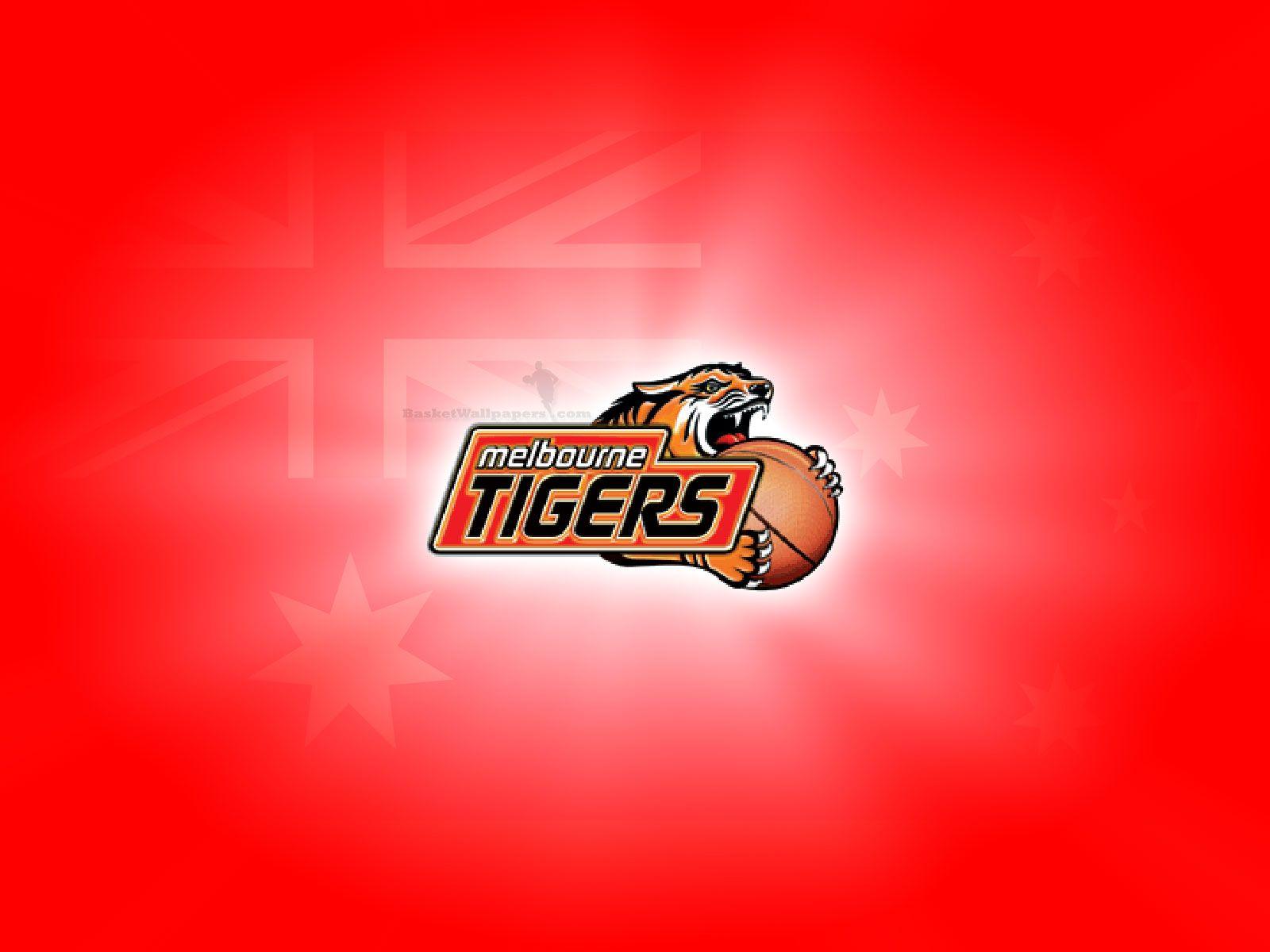 NBL Wallpapers - Top Free NBL Backgrounds - WallpaperAccess