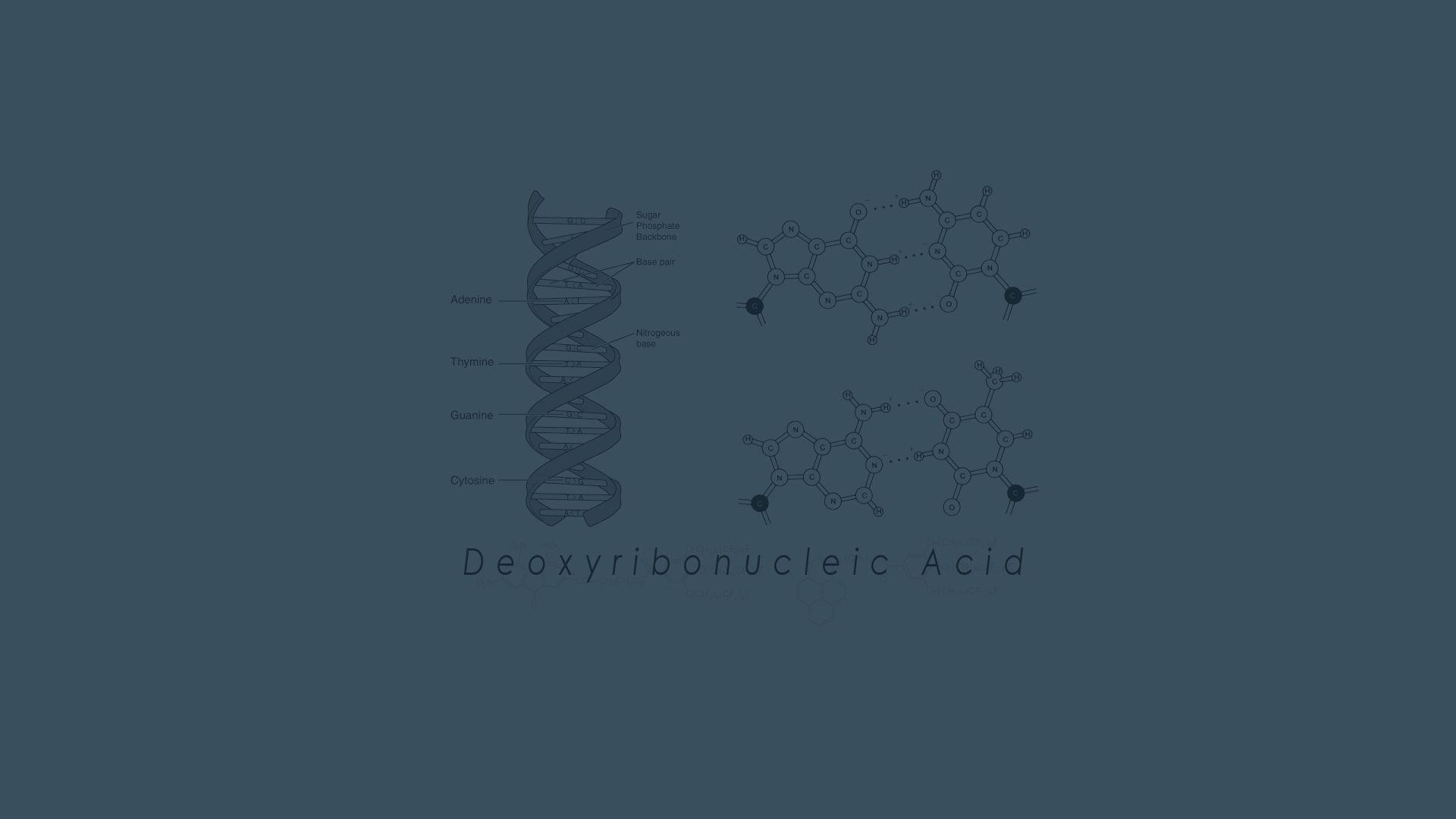 Genetics Wallpapers - Top Free Genetics Backgrounds - WallpaperAccess