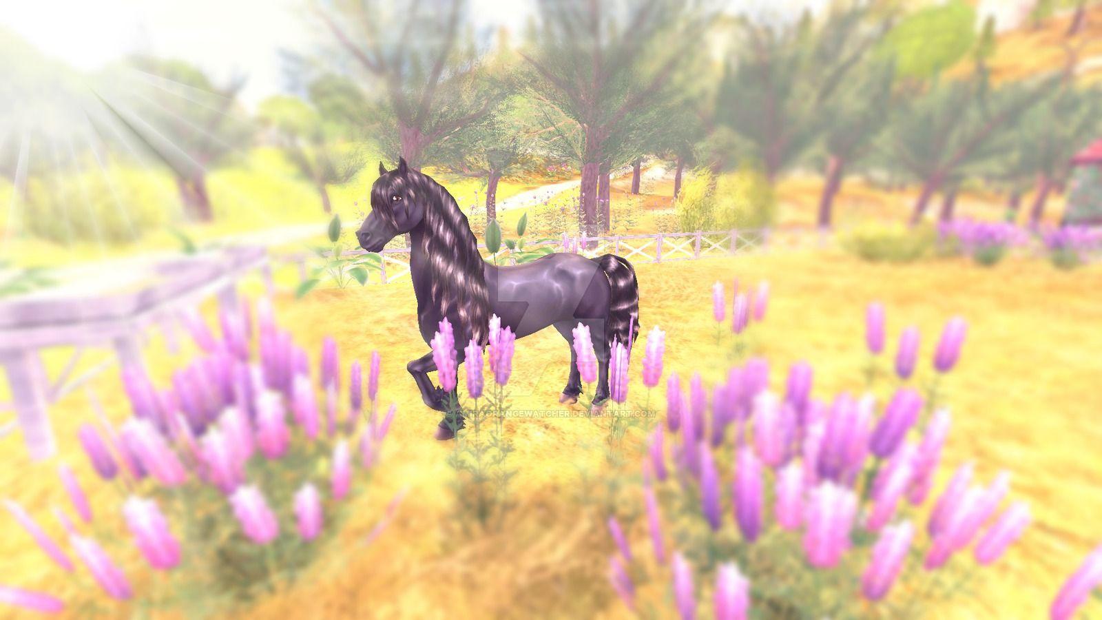 Star Stable Wallpapers - Top Free Star Stable Backgrounds - WallpaperAccess