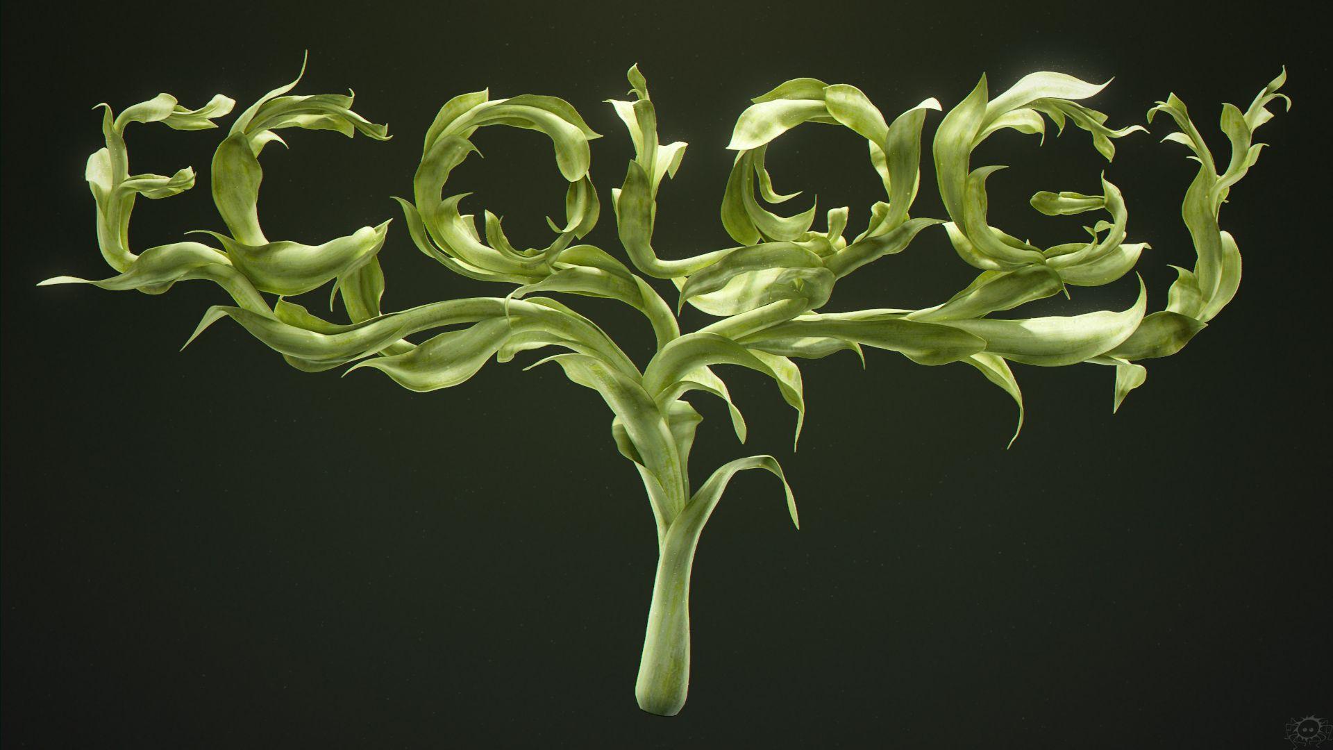 Ecology Wallpapers - Top Free Ecology Backgrounds - WallpaperAccess