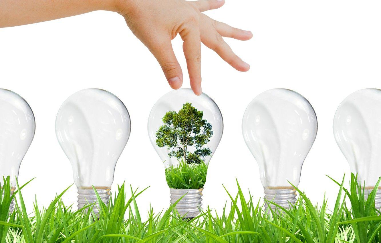 Ecology Wallpapers - Top Free Ecology Backgrounds - WallpaperAccess