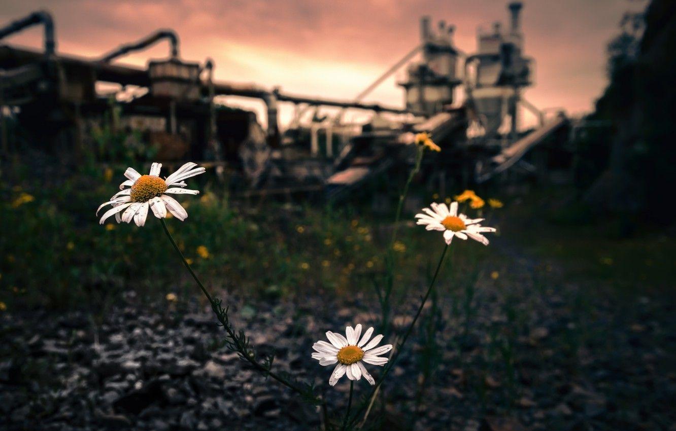 Ecology Wallpapers - Top Free Ecology Backgrounds - WallpaperAccess