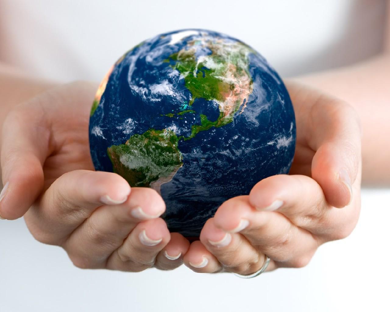 Ecology Wallpapers - Top Free Ecology Backgrounds - WallpaperAccess