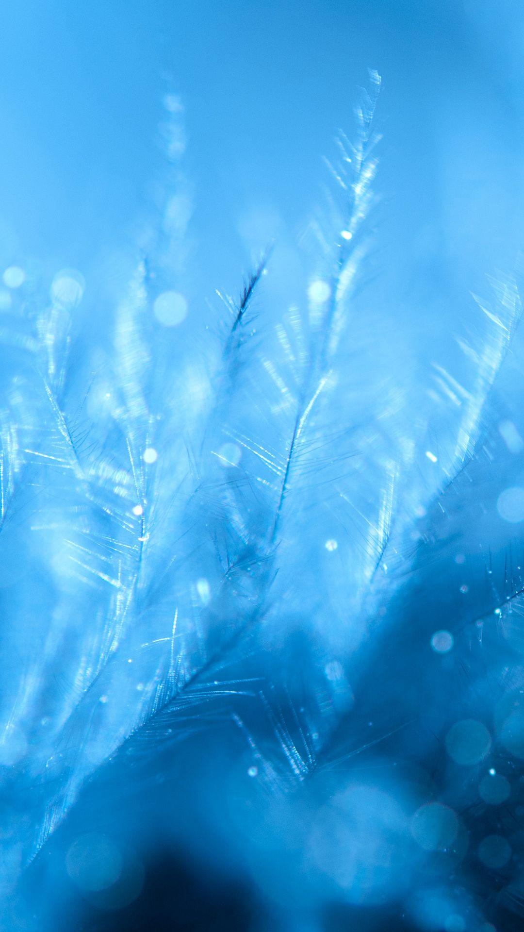 Frozen Phone Wallpapers - Top Free Frozen Phone Backgrounds ...
