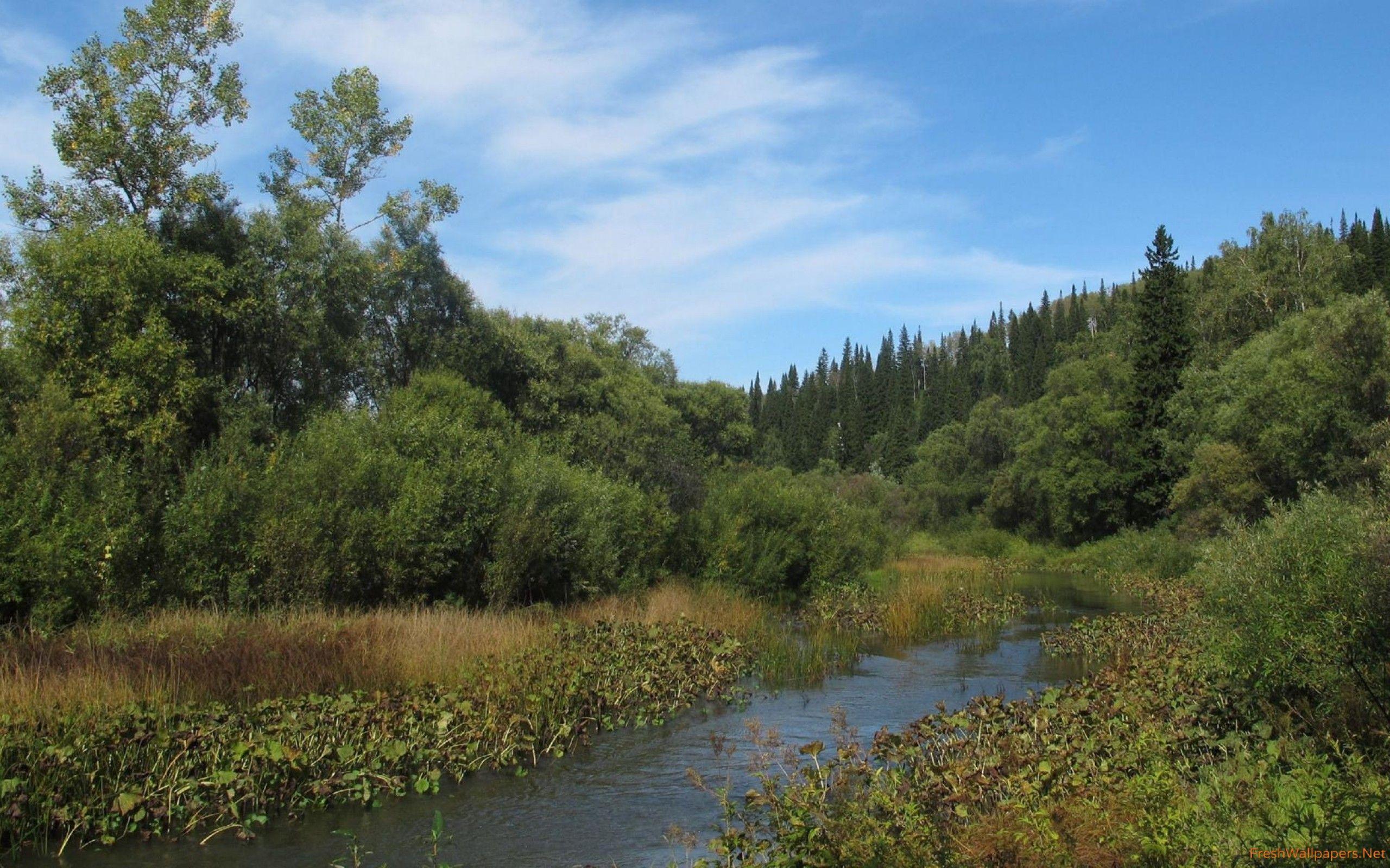 Wild Nature Wallpapers - Top Free Wild Nature Backgrounds - WallpaperAccess