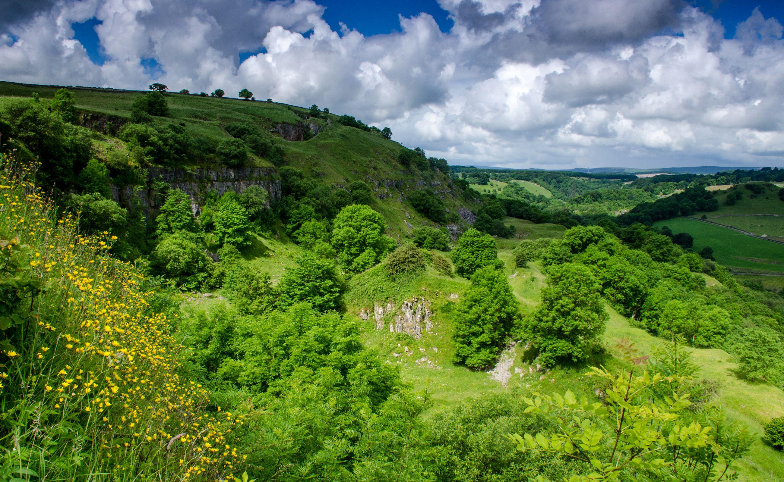 2600x1600 Wallpapers - Top Free 2600x1600 Backgrounds - WallpaperAccess